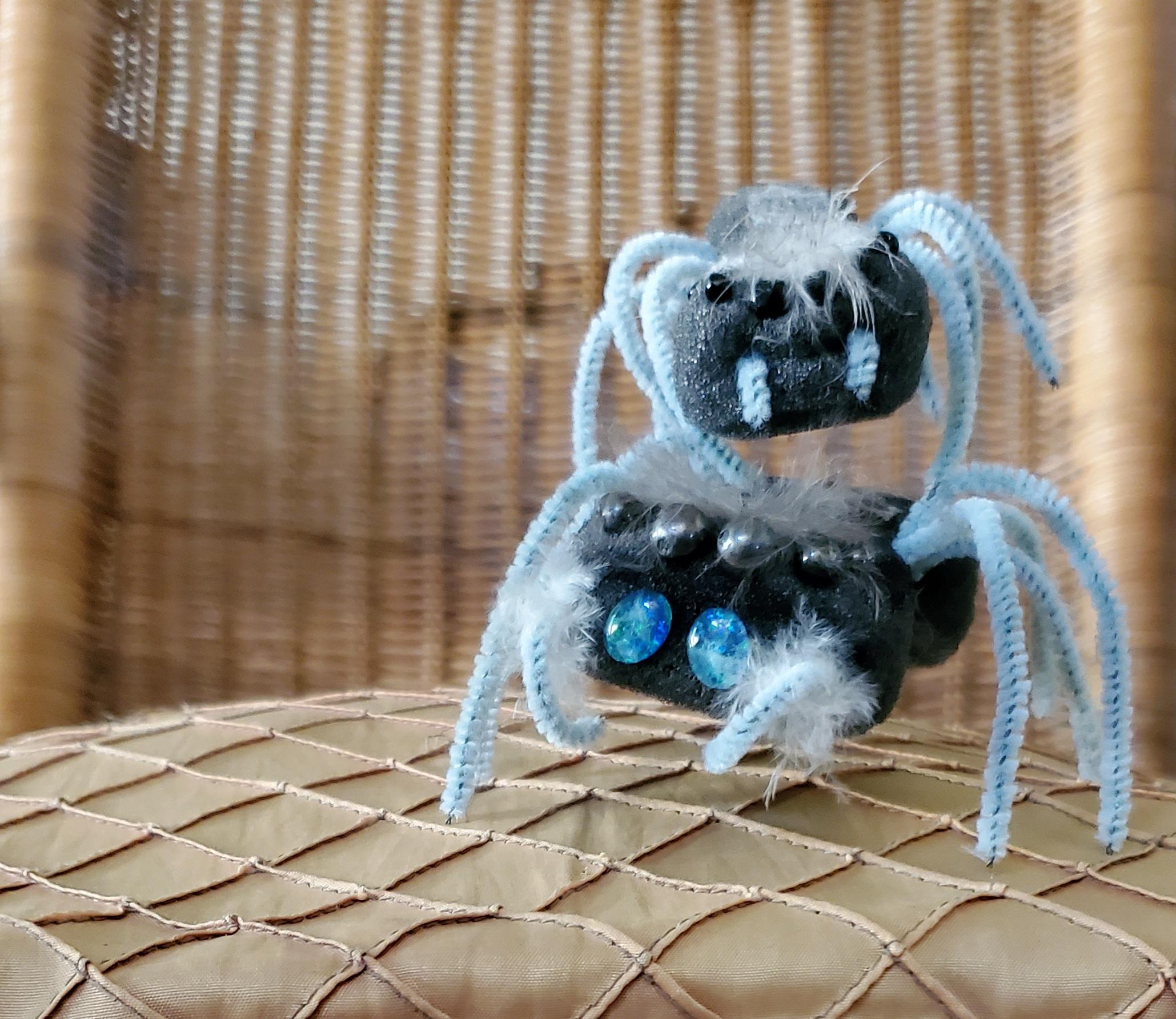 Jumping Spider : 9 Steps (with Pictures) - Instructables