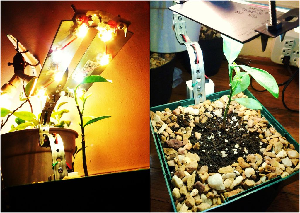8w DIY LED Herb Garden : 6 Steps - Instructables