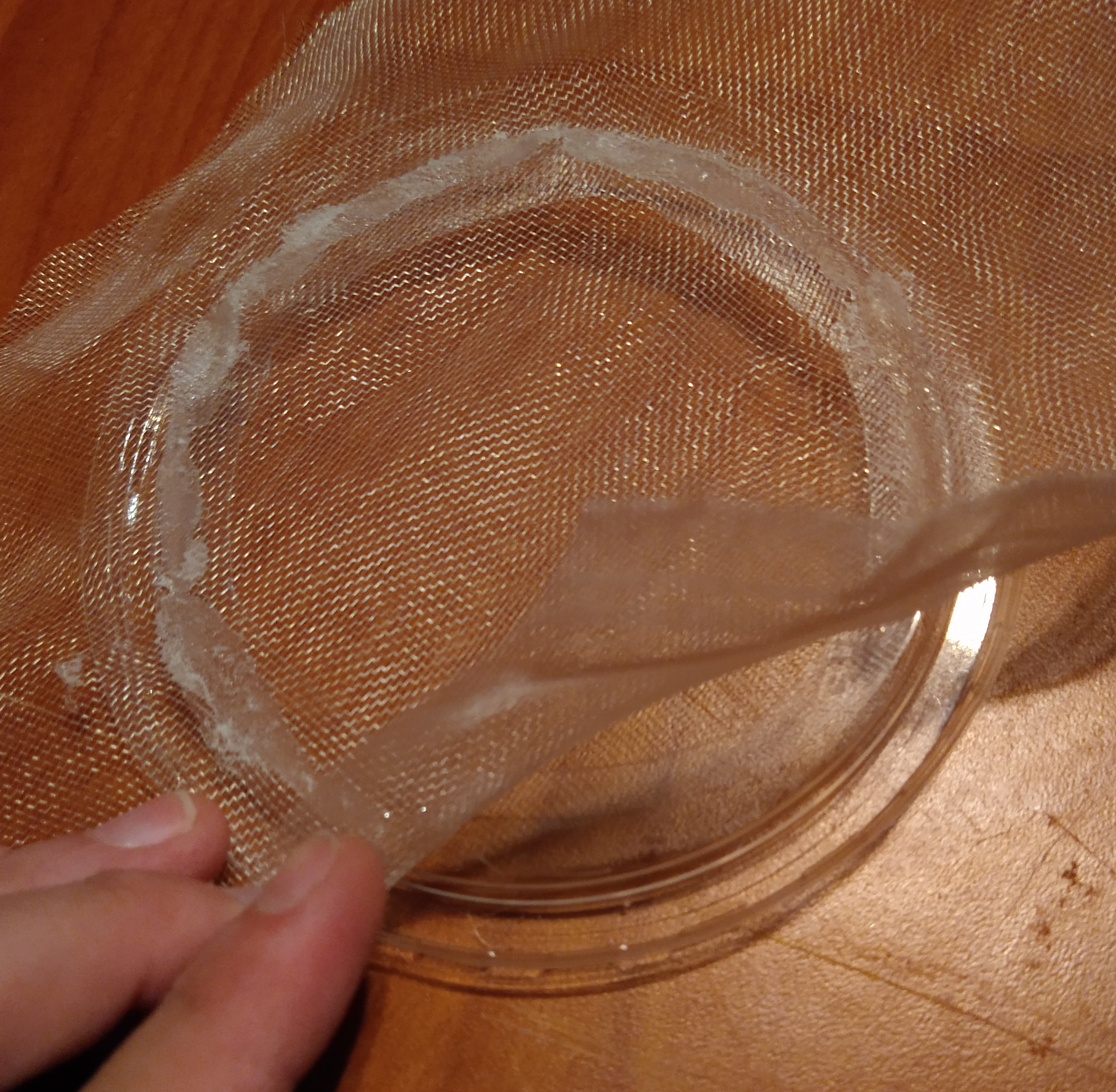 Perfect Praying Mantis Cups : 9 Steps (with Pictures) - Instructables