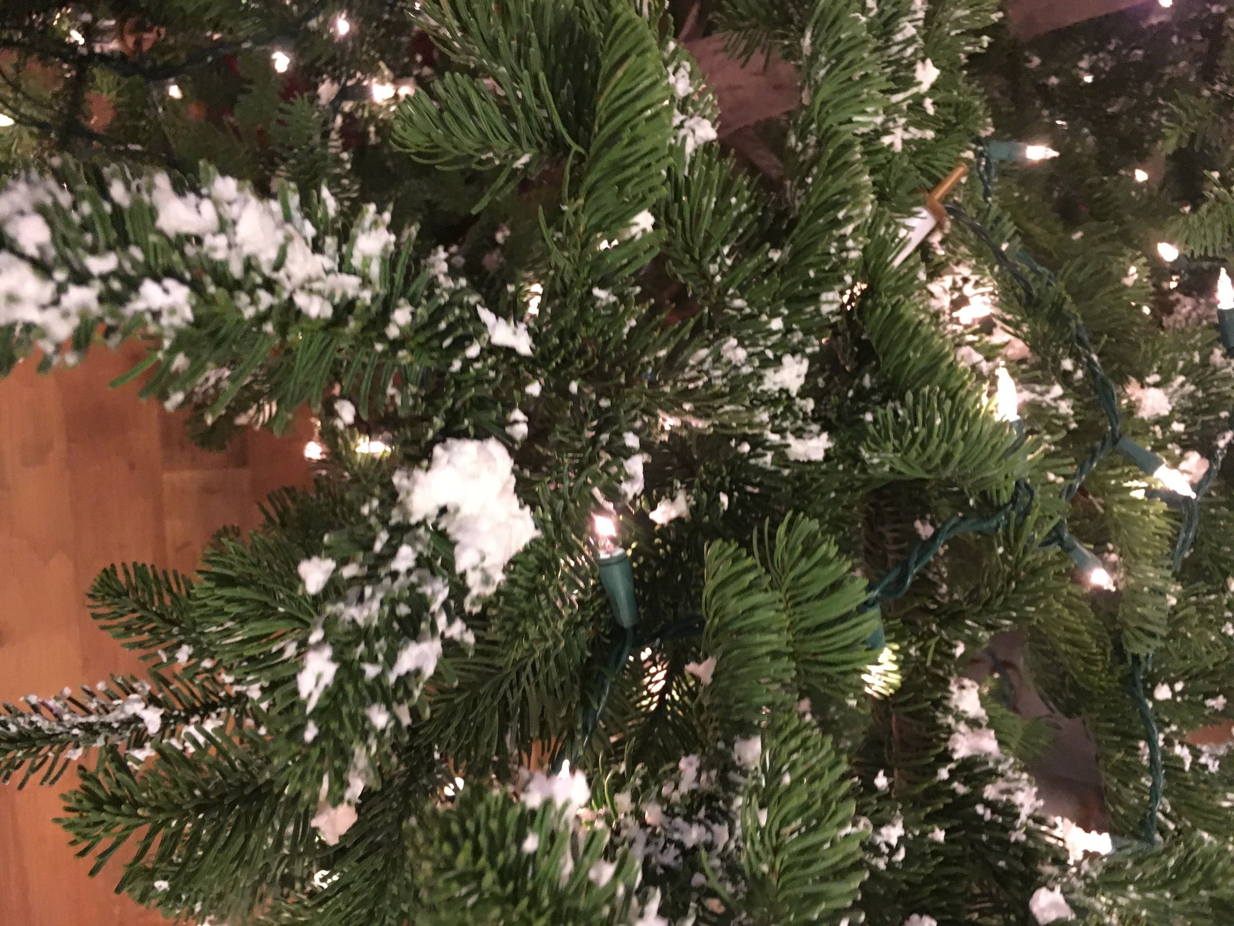 Snow Flocking Christmas Tree's : 4 Steps (with Pictures) - Instructables