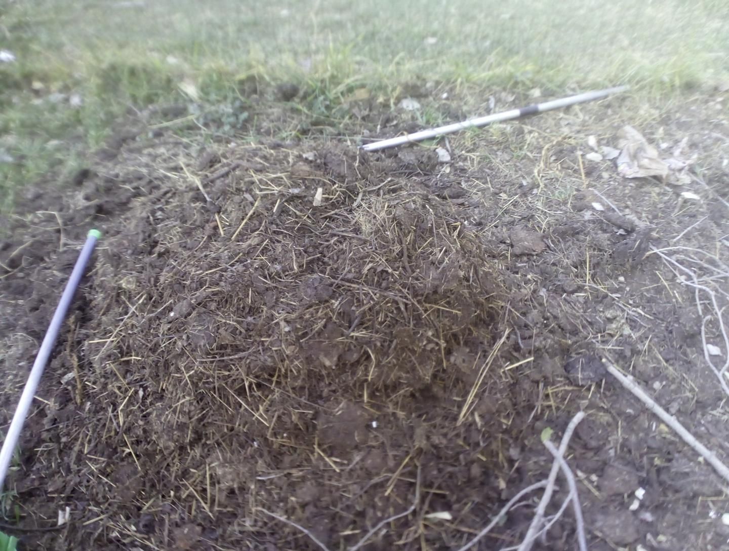 Mini Wormery (easy) : 6 Steps - Instructables