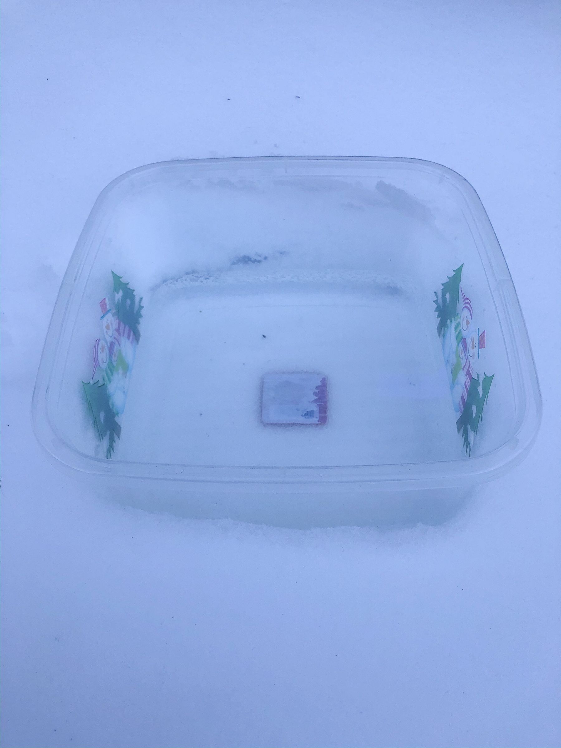 Beginner Ice Carving : 4 Steps - Instructables