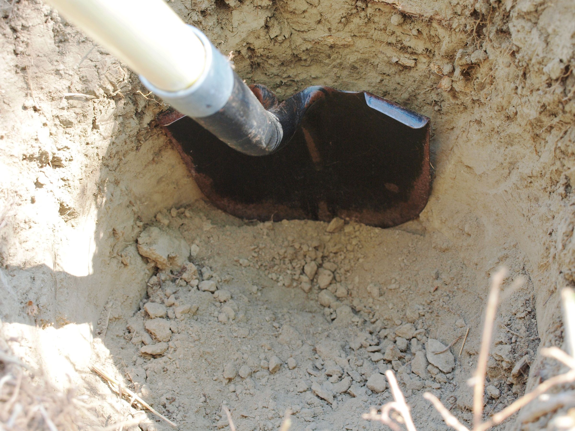 When You Have to Say Goodbye, How to Properly Bury a Pet. : 8 Steps ...