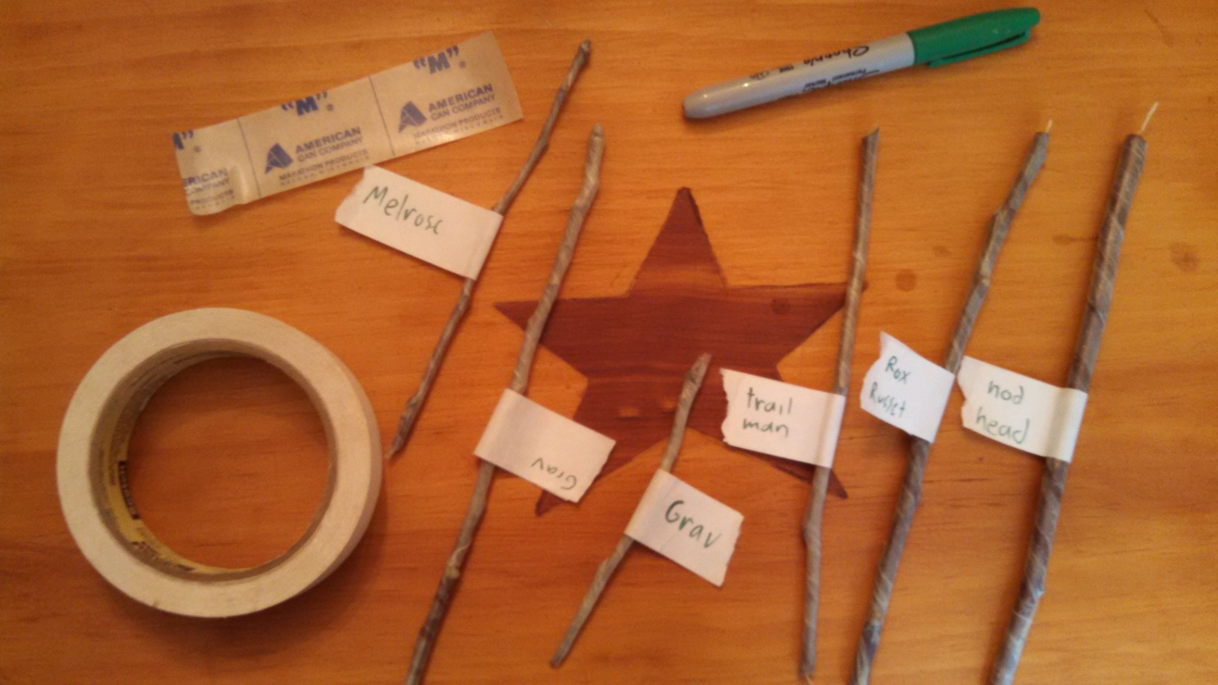 Grafting a Multi-variety Apple Tree. : 10 Steps (with Pictures ...