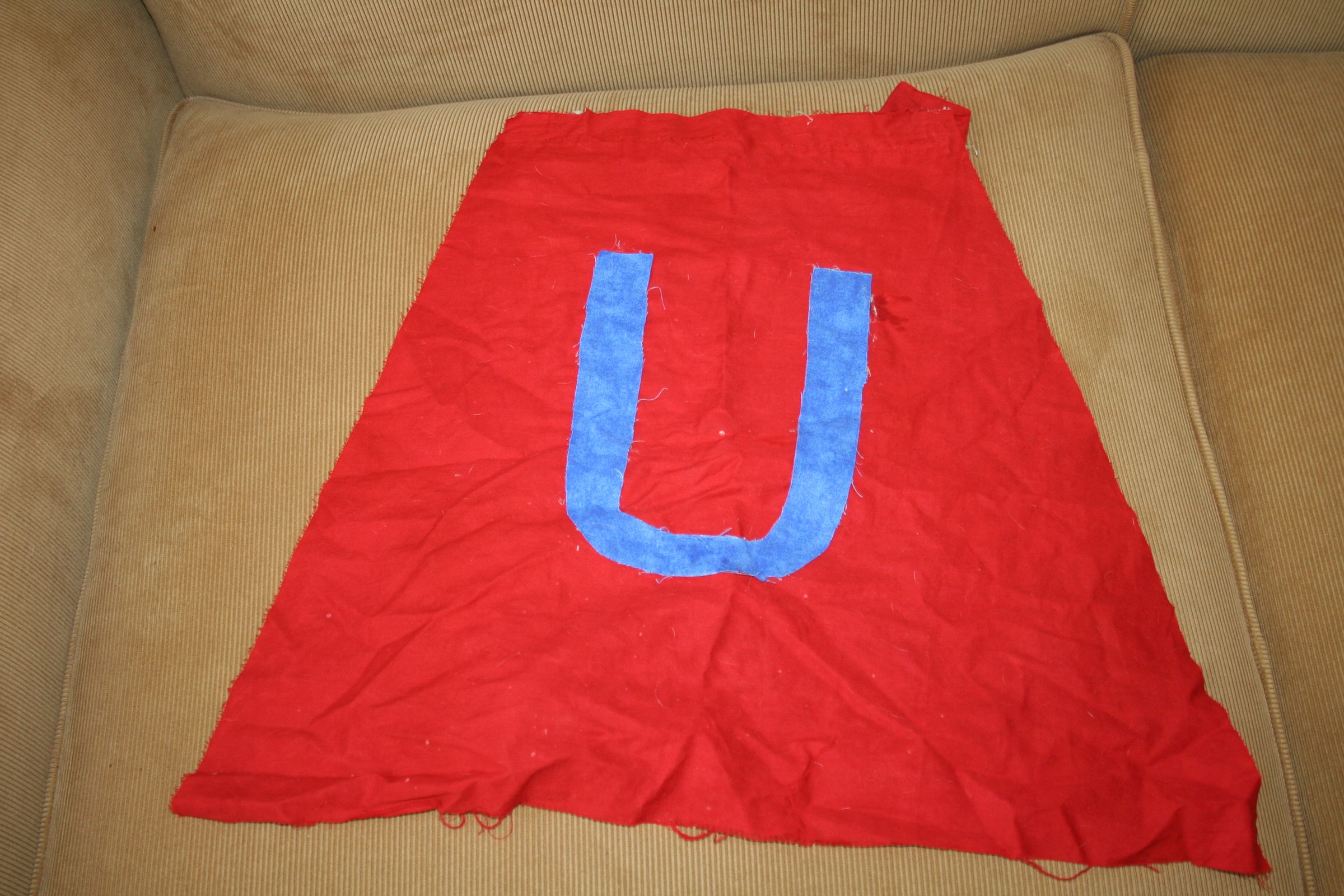 Underdog Cape for Your Dog!! : 6 Steps - Instructables
