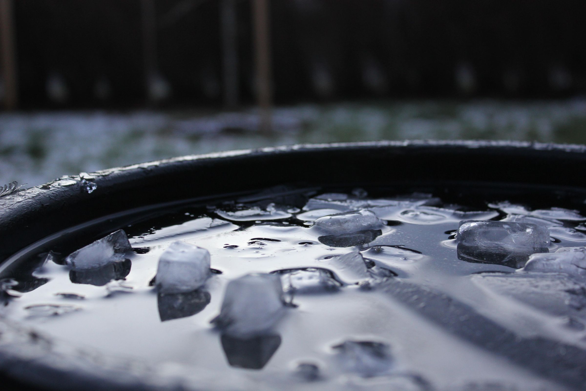 Cold Showers: How to Start and What to Expect for Improved Health and ...