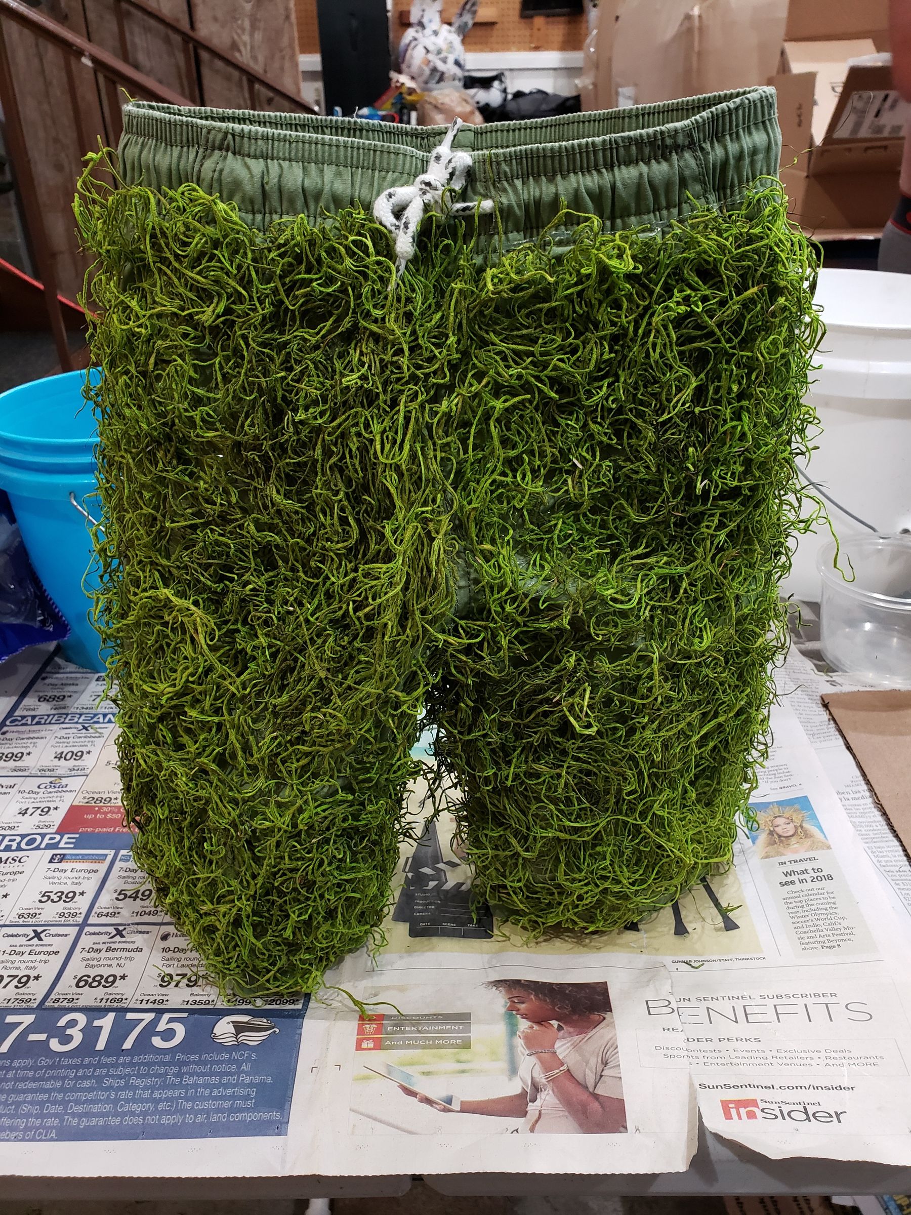 Mickey & Minnie Topiary : 3 Steps (with Pictures) - Instructables