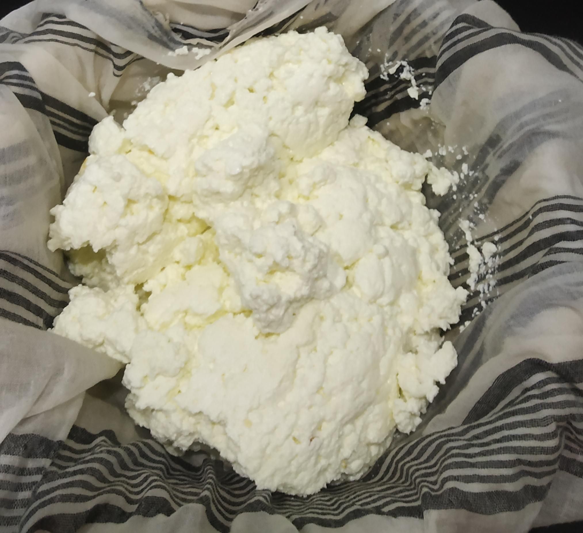 Chanar Sandesh-Indian Cottage Cheese Sweet Meat : 5 Steps - Instructables