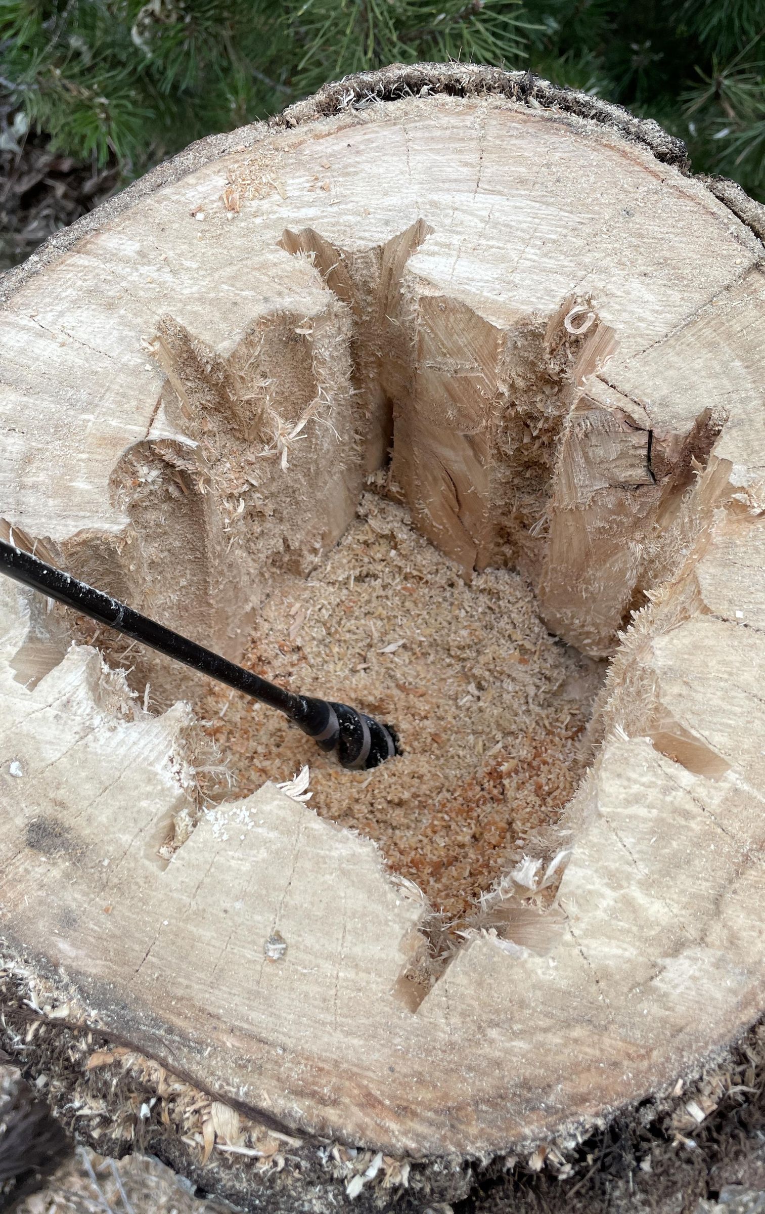 Transform a Tree Stump Into a Planter Box : 11 Steps (with Pictures ...