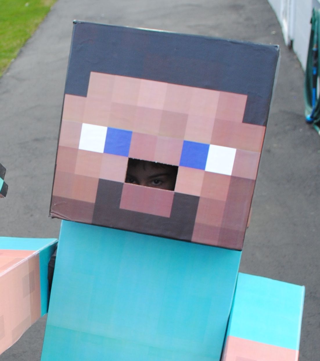 Minecraft Steve Costume : 6 Steps (with Pictures) - Instructables