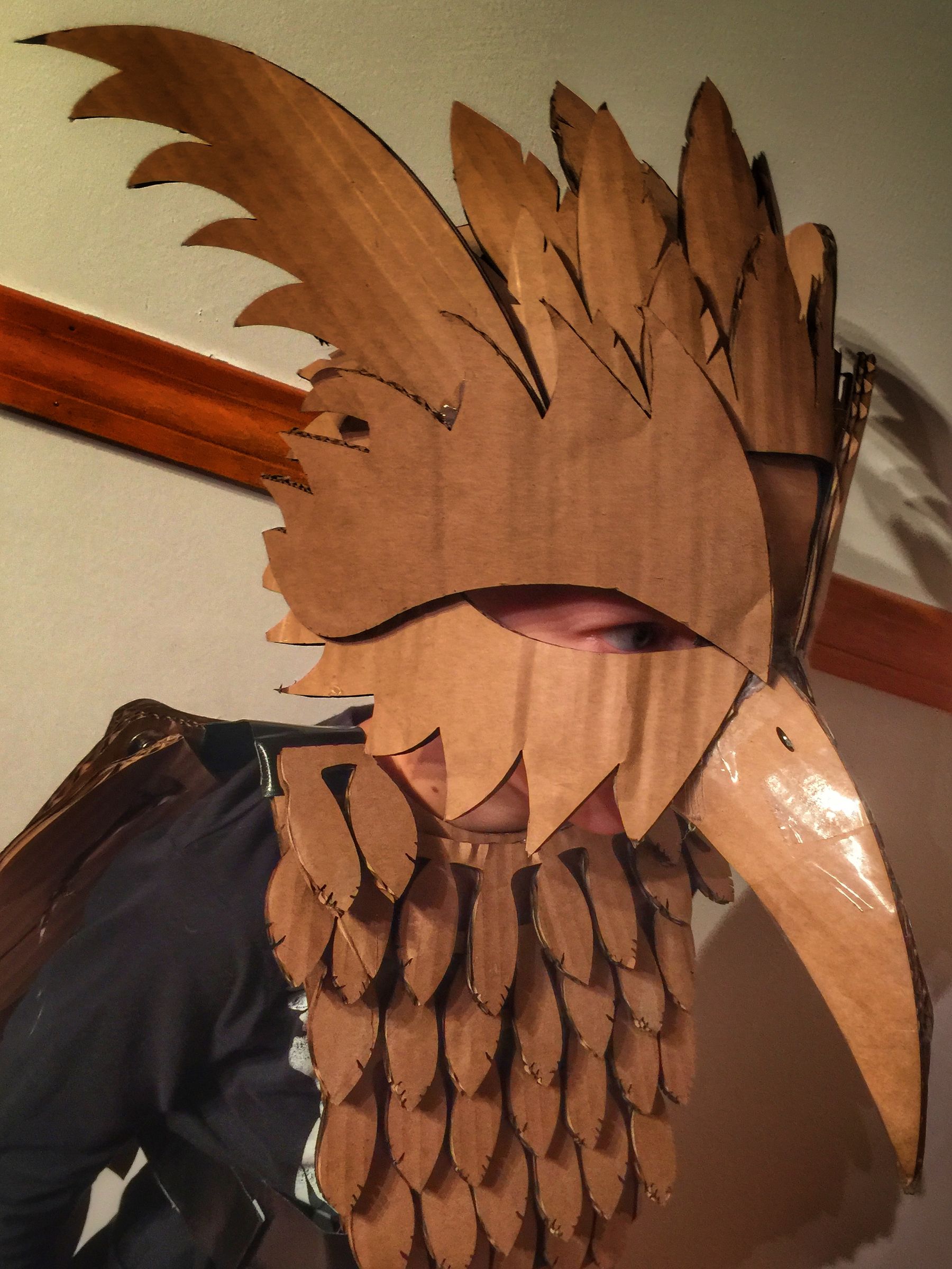 Cardboard Bird Man Costume With Wings : 4 Steps (with Pictures ...