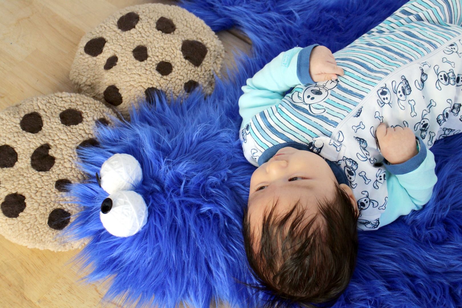 Cookie Monster Rug : 21 Steps (with Pictures) - Instructables
