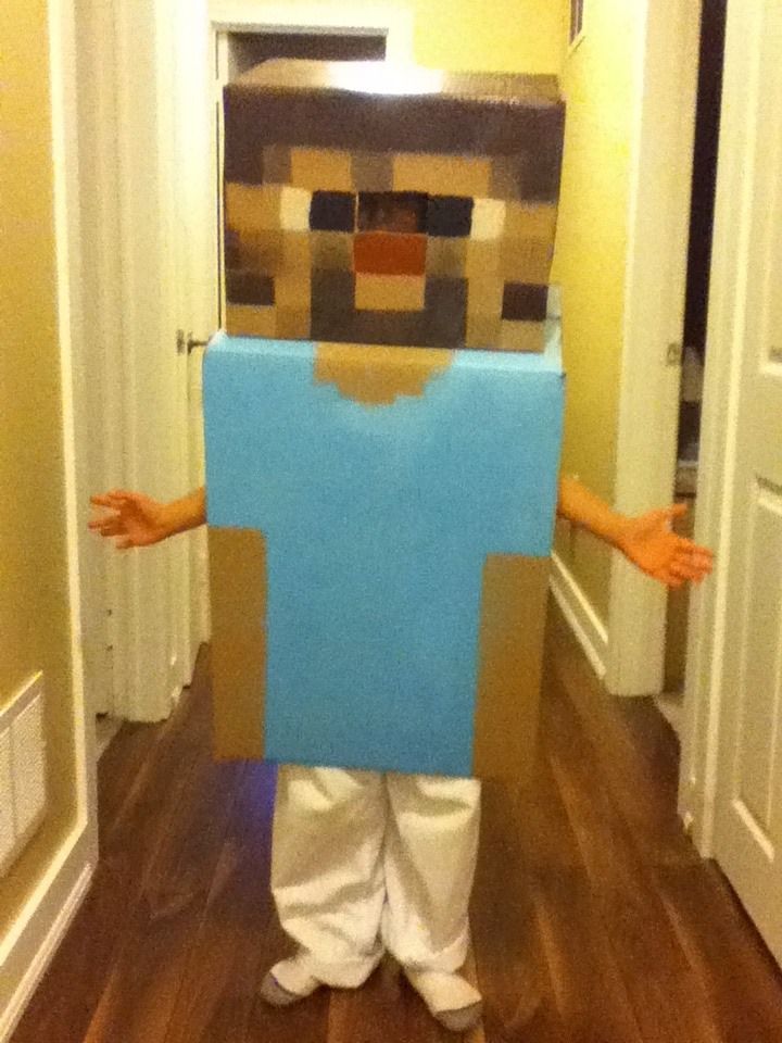 Steve Costume(minecraft) : 5 Steps - Instructables