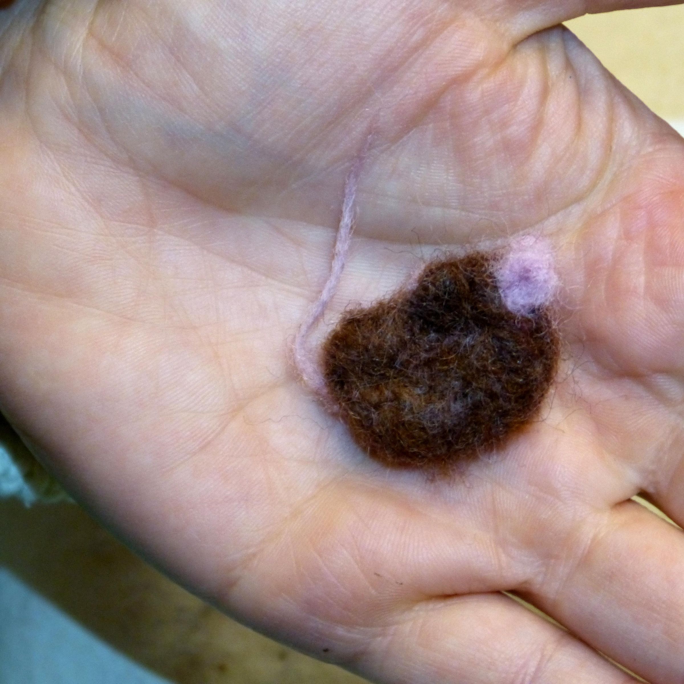Houseplant Treehouse & Tiny Mouse : 15 Steps (with Pictures ...