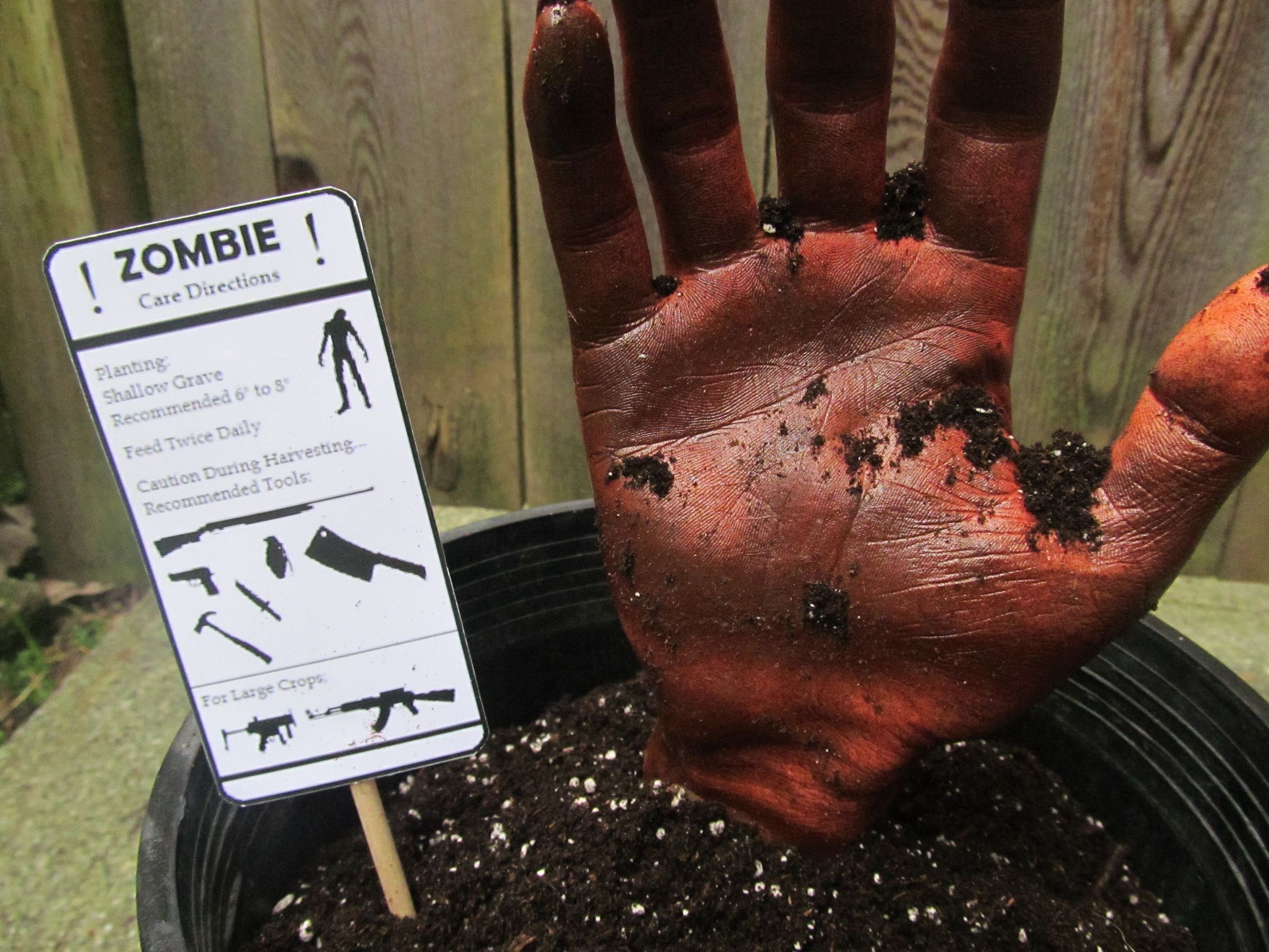 Zombie in a Pot- a Fun Prop/Decoration : 4 Steps (with Pictures ...