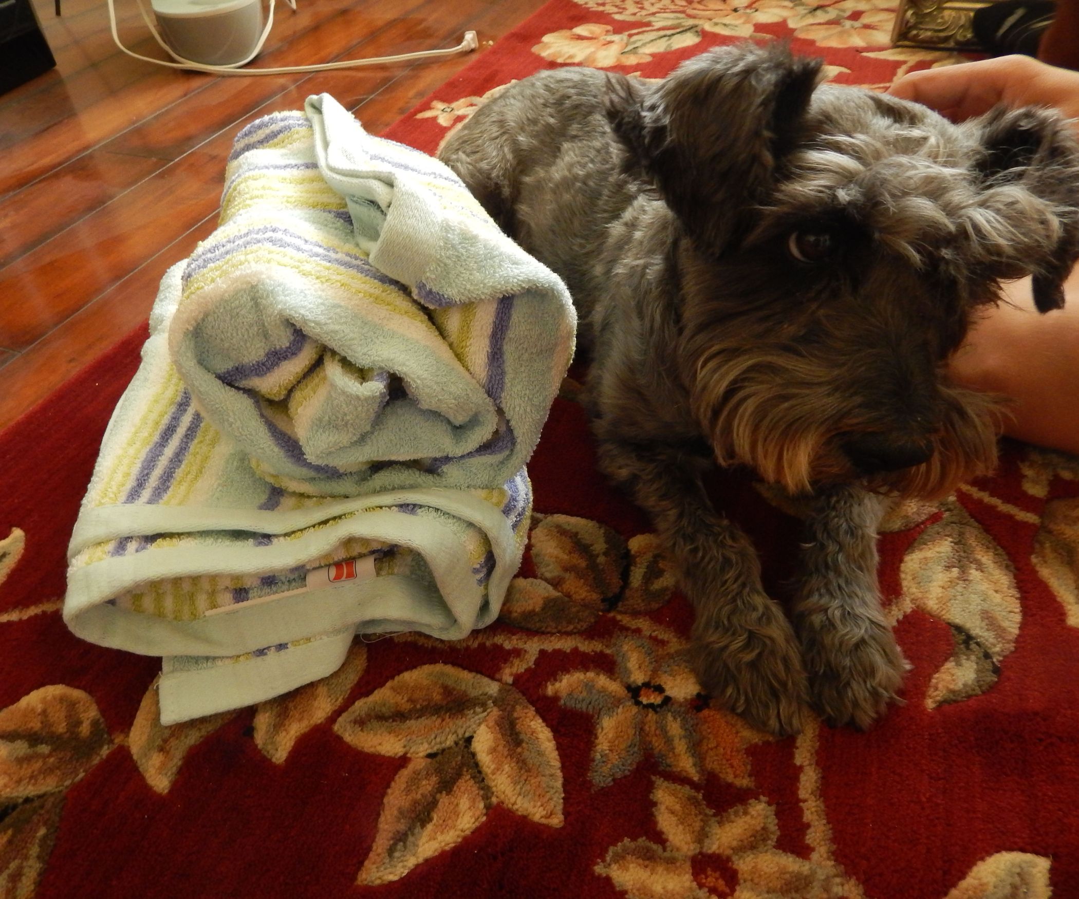 Pro Dog Towel : 13 Steps - Instructables