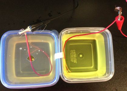 Microbial Fuel Cell Powered by Urine : 4 Steps - Instructables