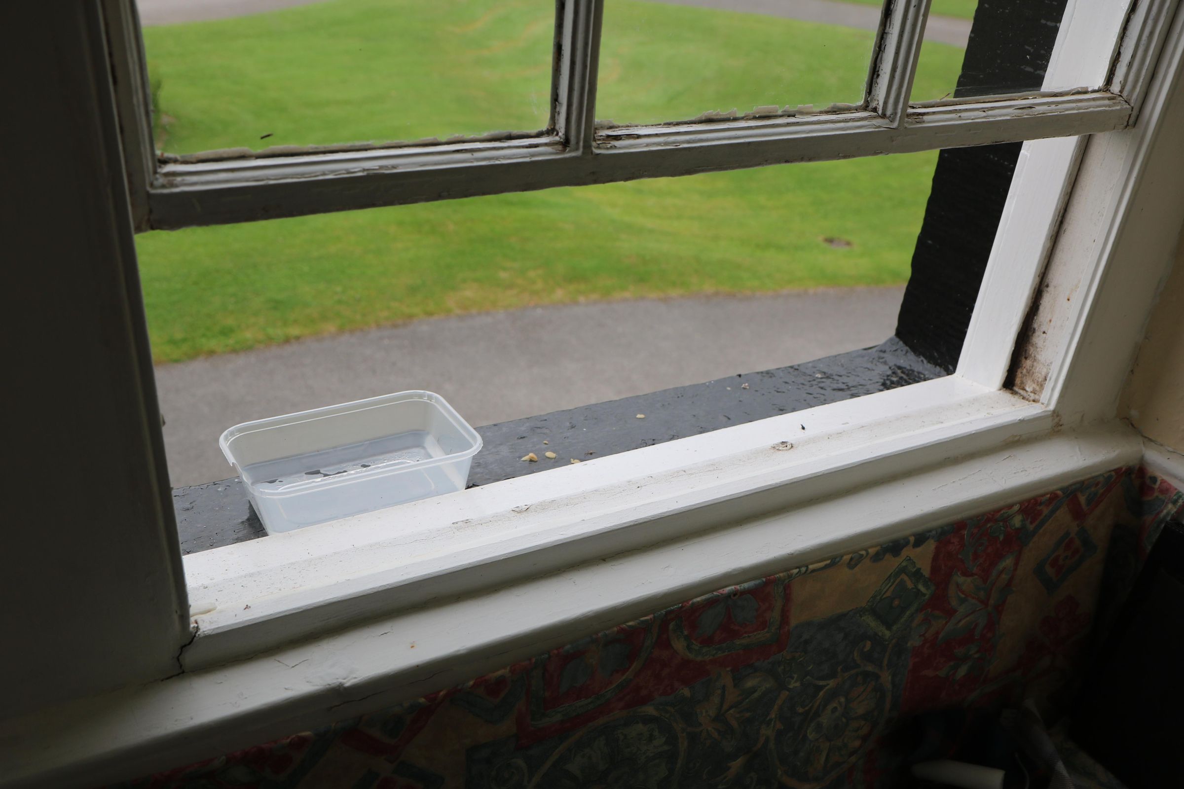 Window-Ledge Bird-Feeding Station From Scrap : 8 Steps (with Pictures ...