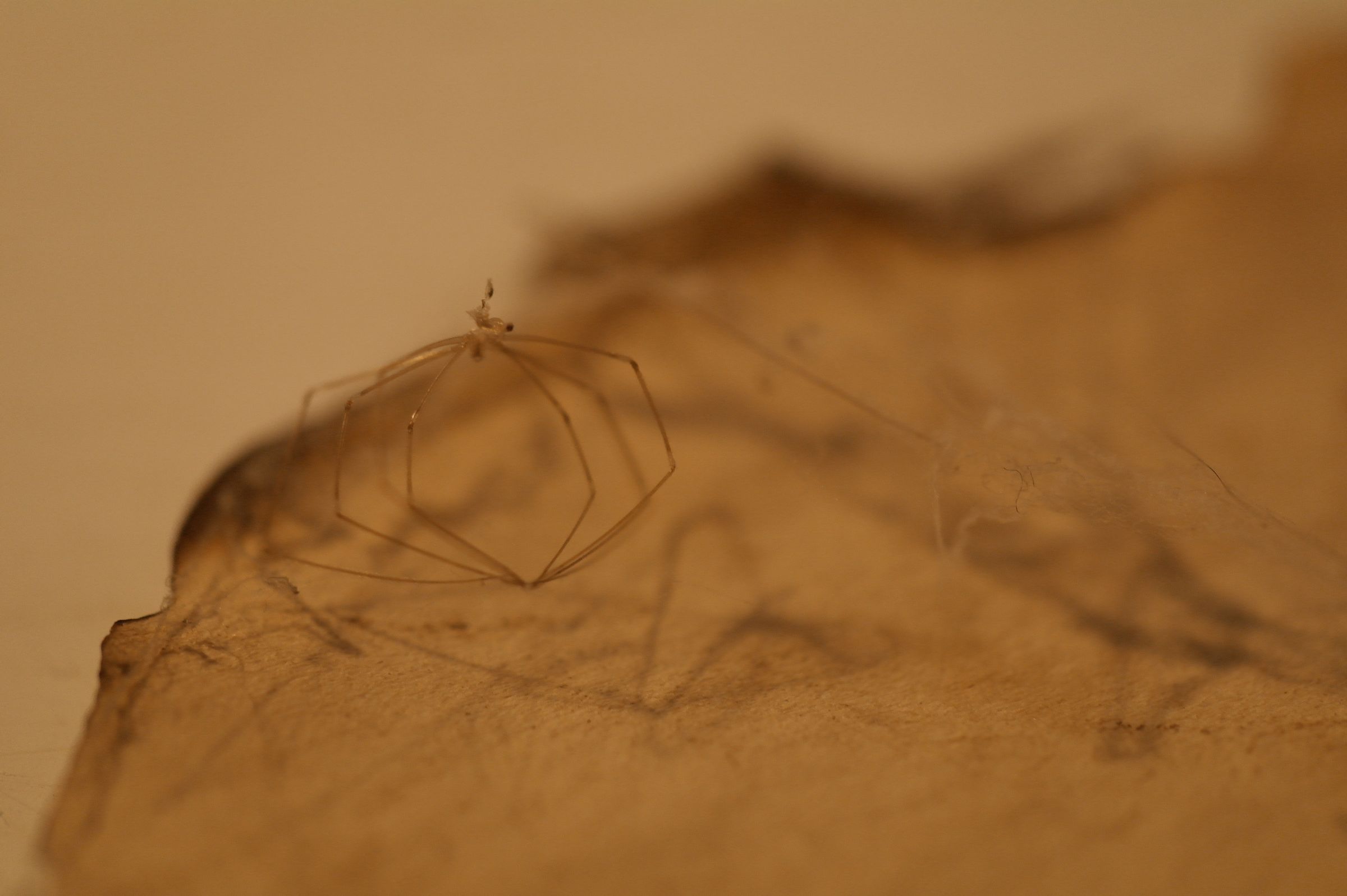Reliced Paper - Instructables