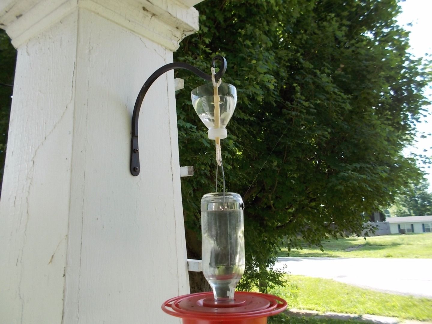 Hummingbird Feeder Ant Moat : 4 Steps (with Pictures) - Instructables