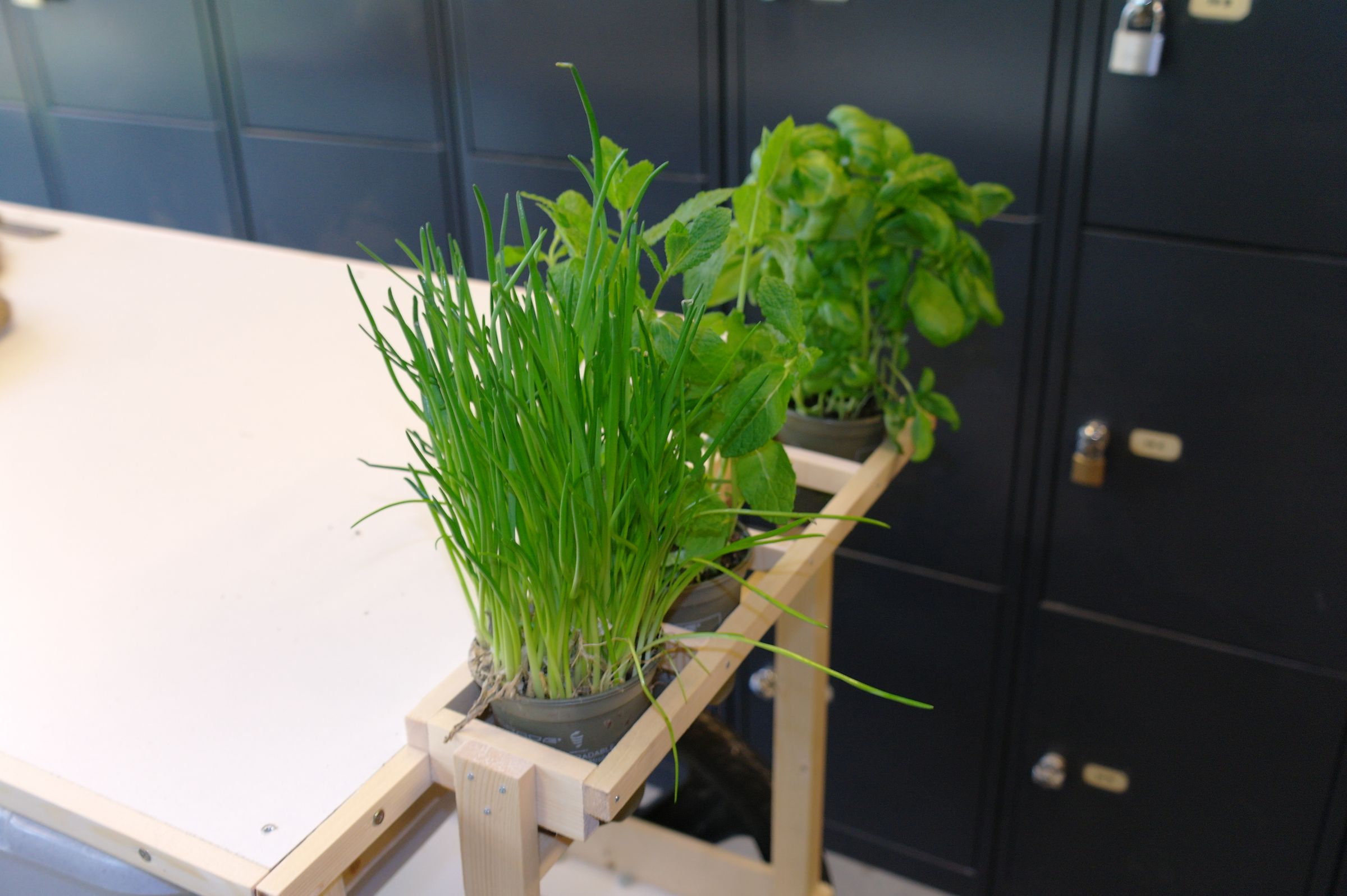 Mobile Kitchen, a Bike Trailer Kitchen on Gas : 10 Steps (with Pictures ...