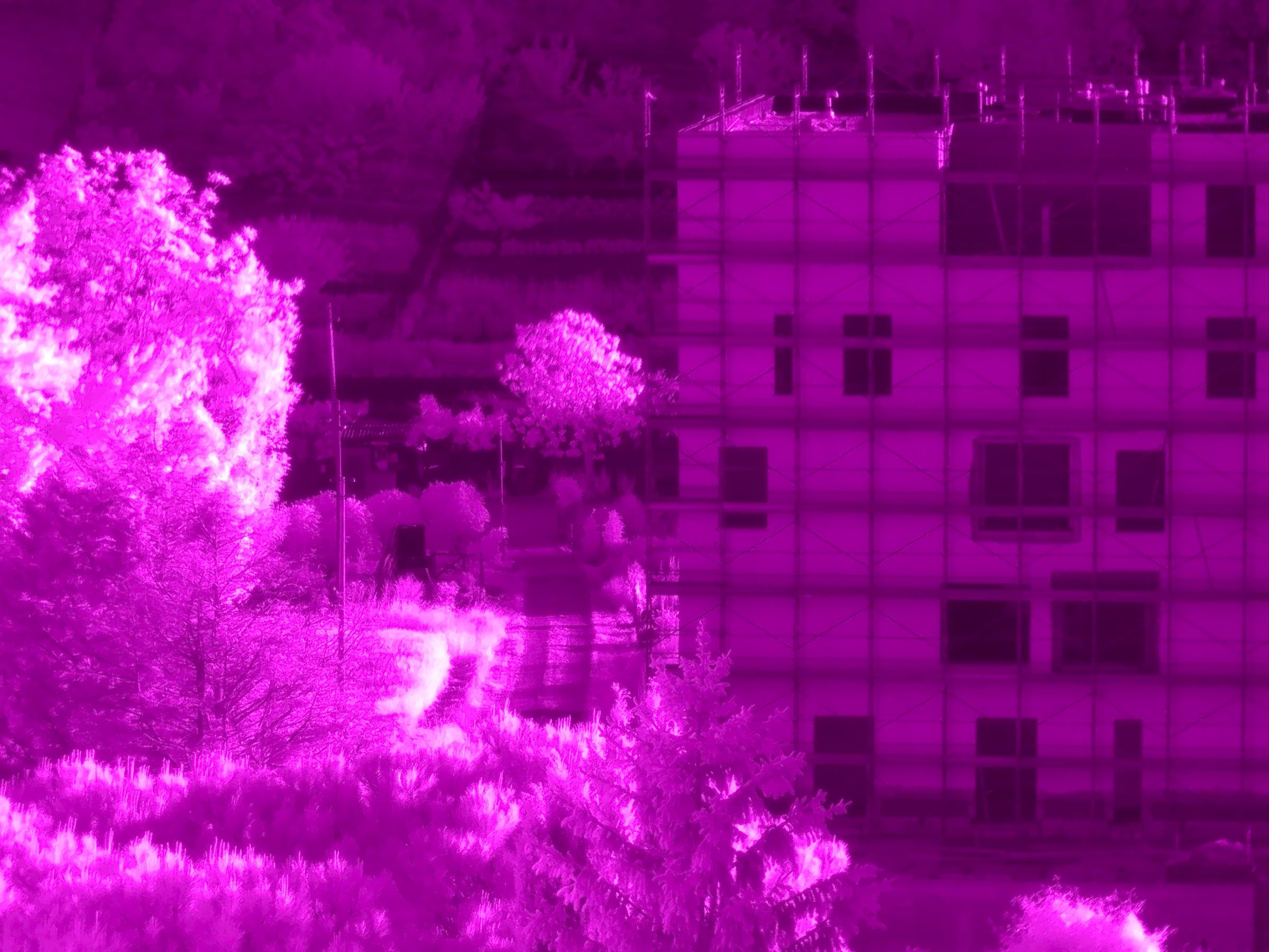 Cheap Infrared Photography : 12 Steps (with Pictures) - Instructables