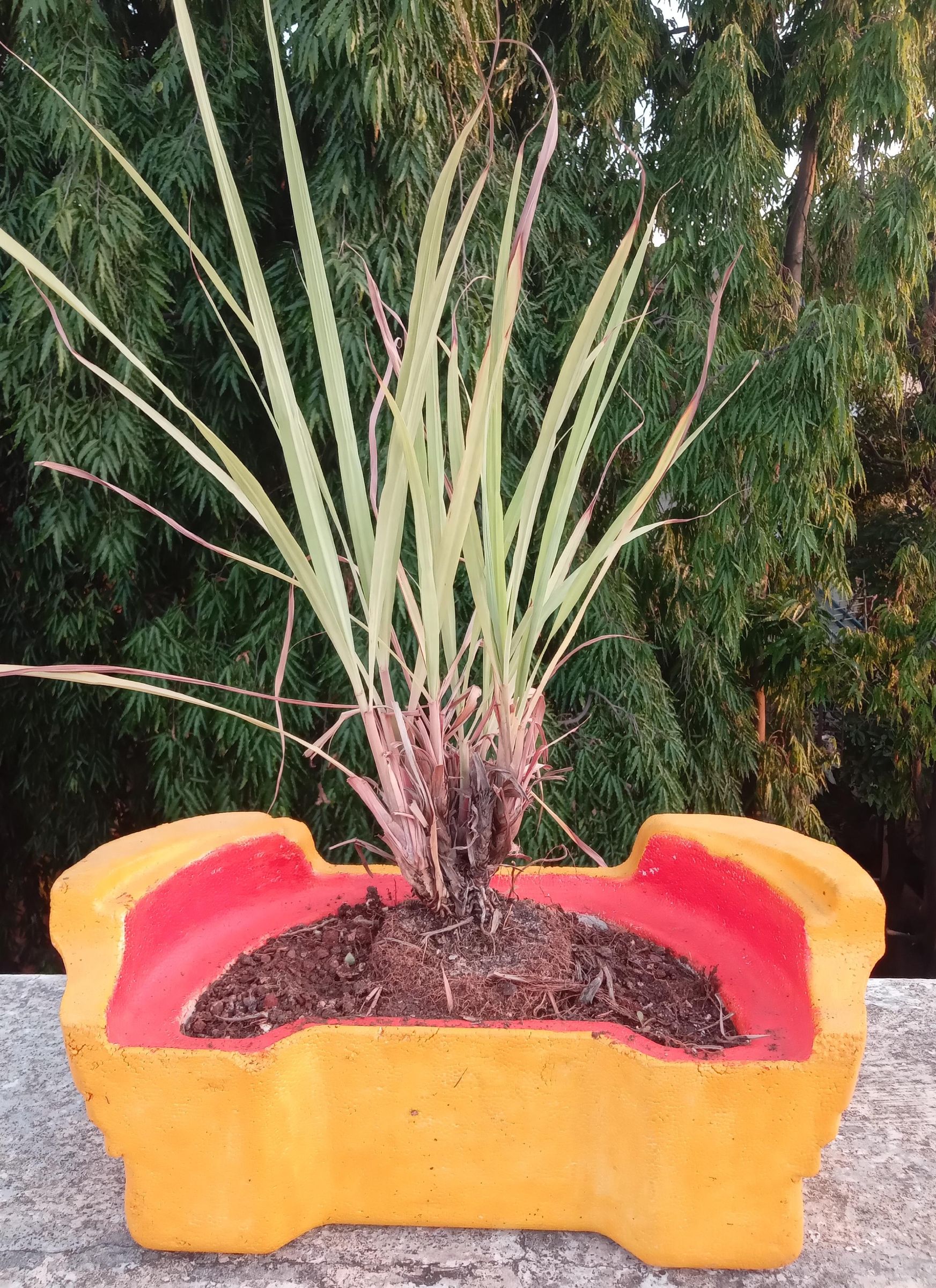 Making Useful Plant Pot From Waste Packaging Material : 9 Steps (with ...