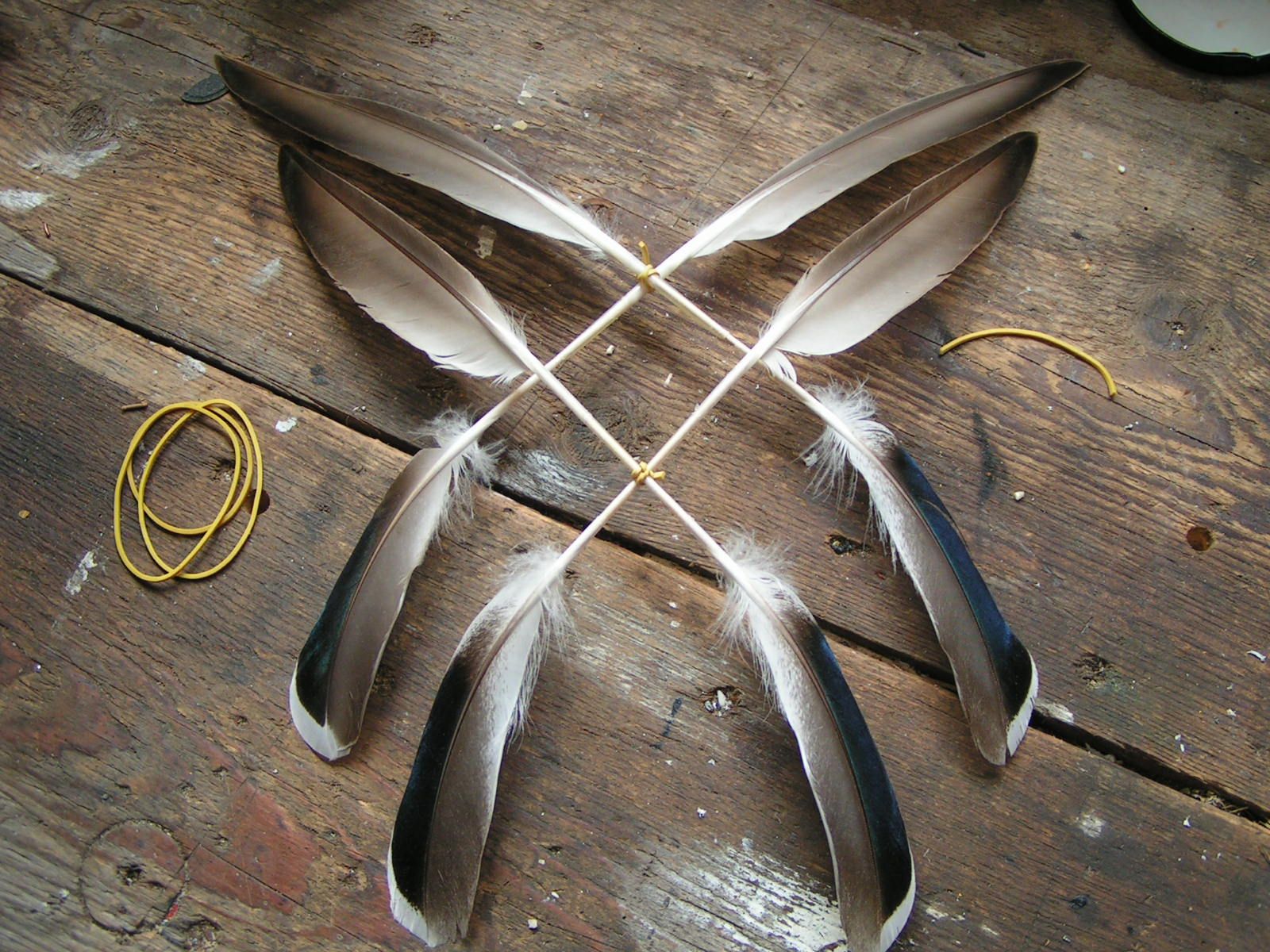 The Feather Kite: an Experiment in Progress. : 5 Steps - Instructables