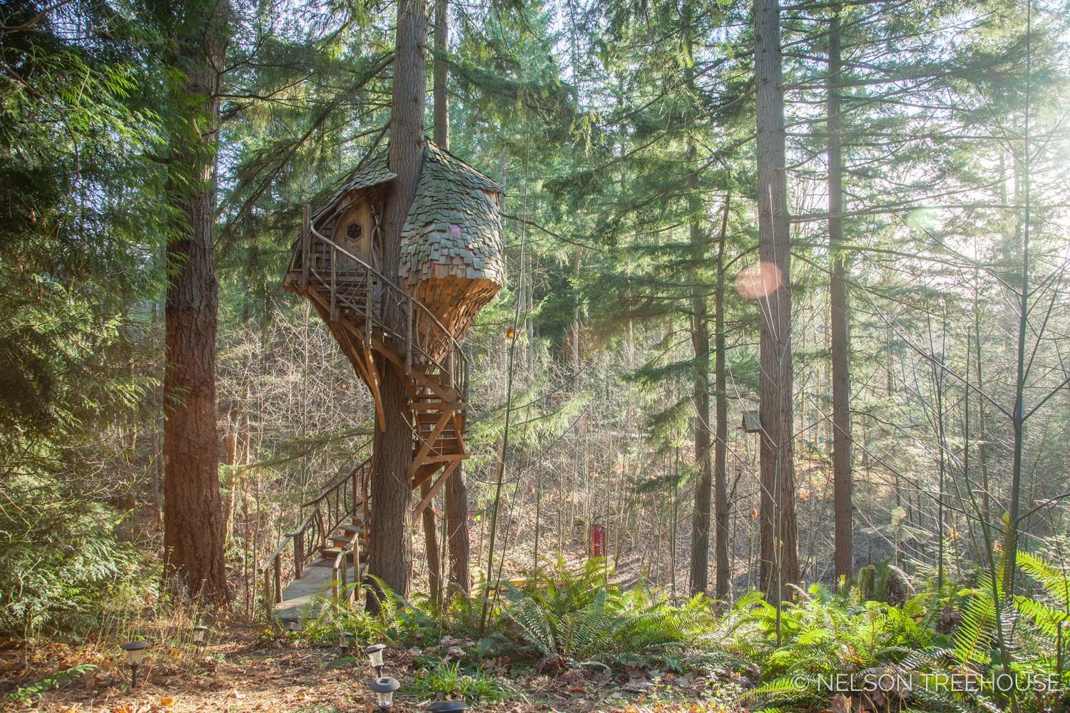 Treehouse Winding Staircase : 5 Steps (with Pictures) - Instructables