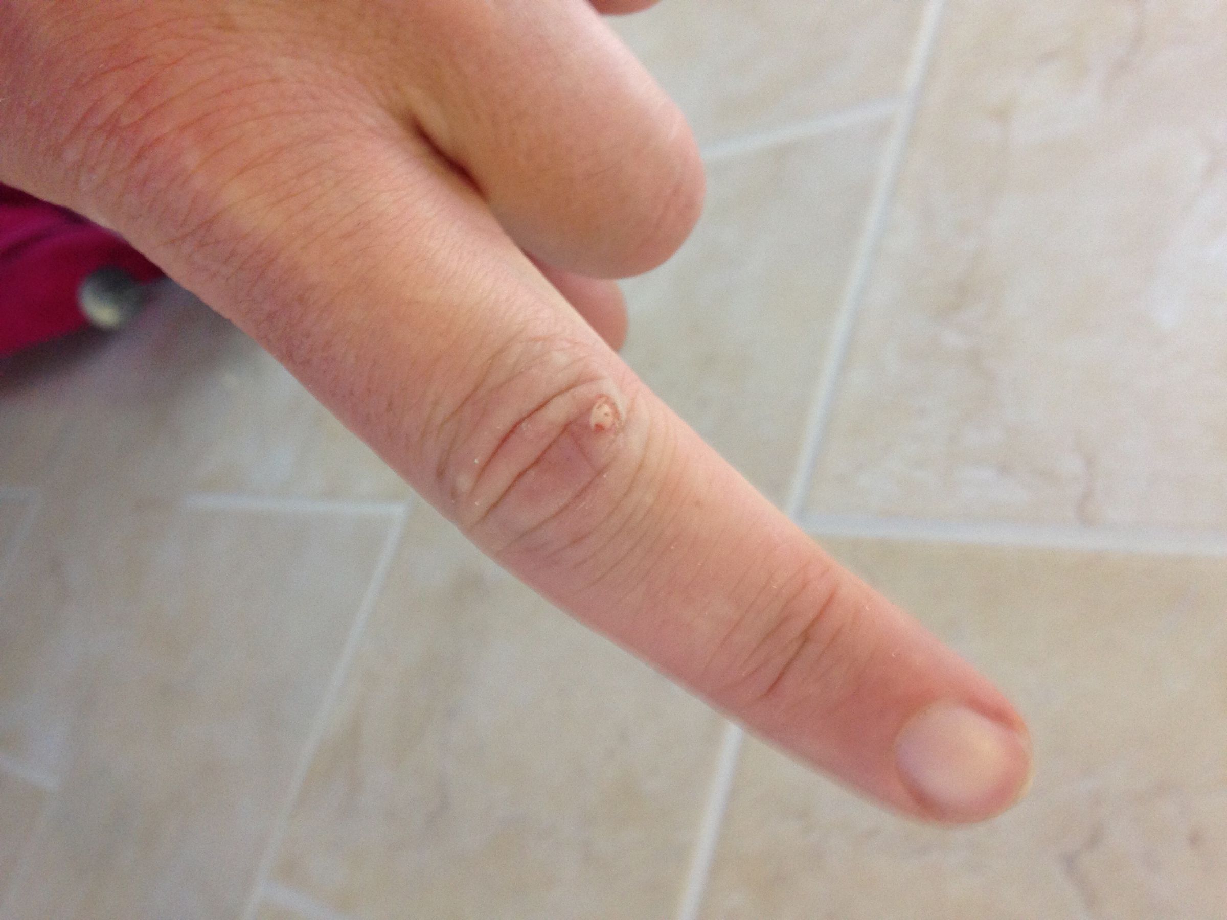 How to Ease Open a Painted Shut Sash Window : 10 Steps (with Pictures ...