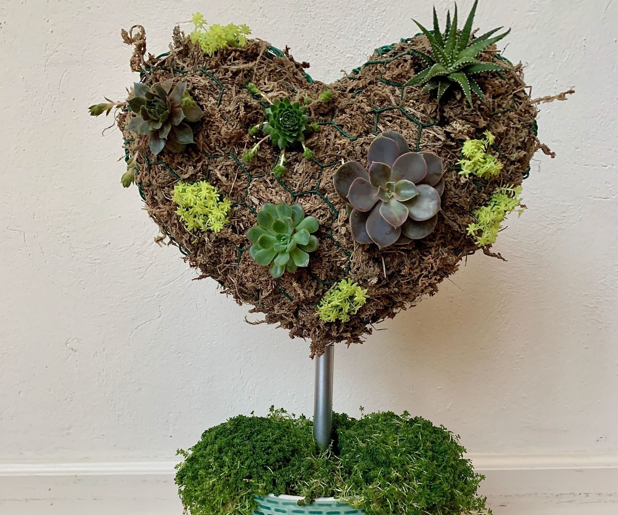 Living Heart Succulent Planter : 9 Steps (with Pictures) - Instructables