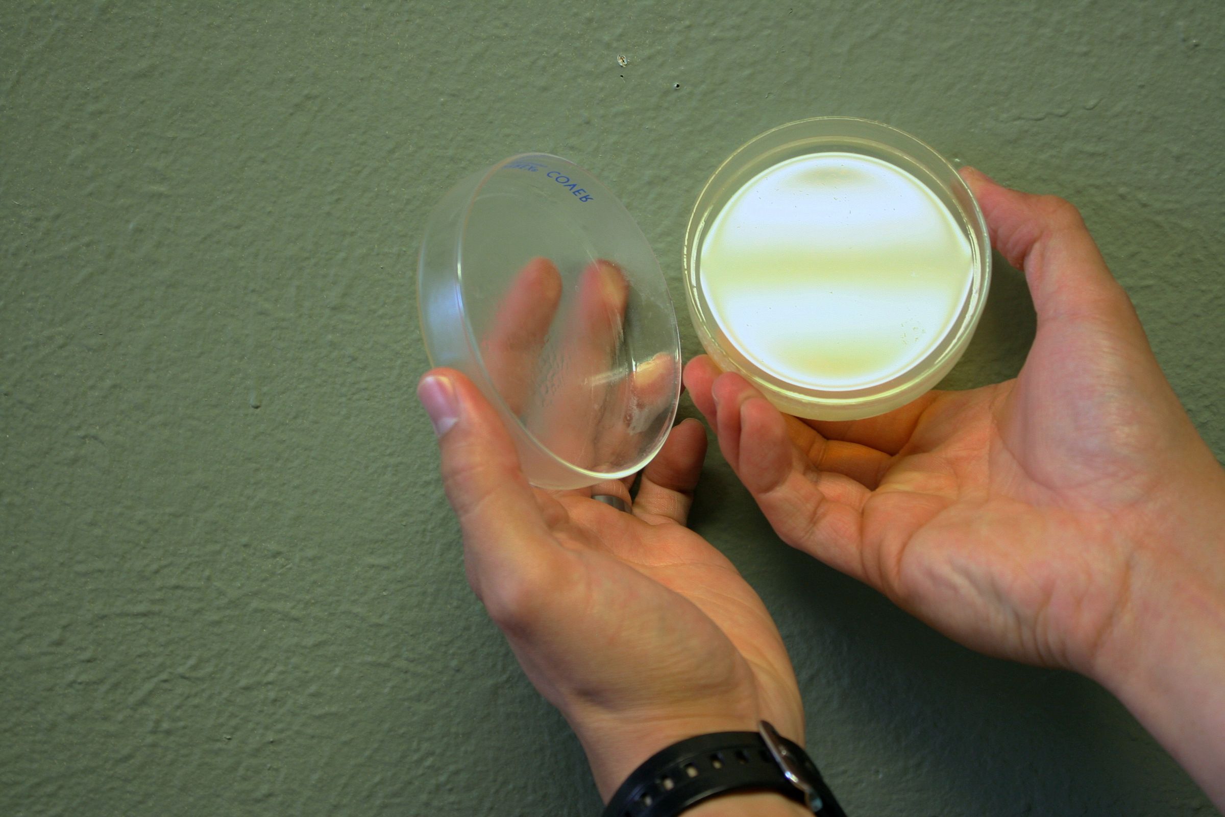 Bioluminescent Bacterial Lightbulb / Water Pollution Tester : 11 Steps ...