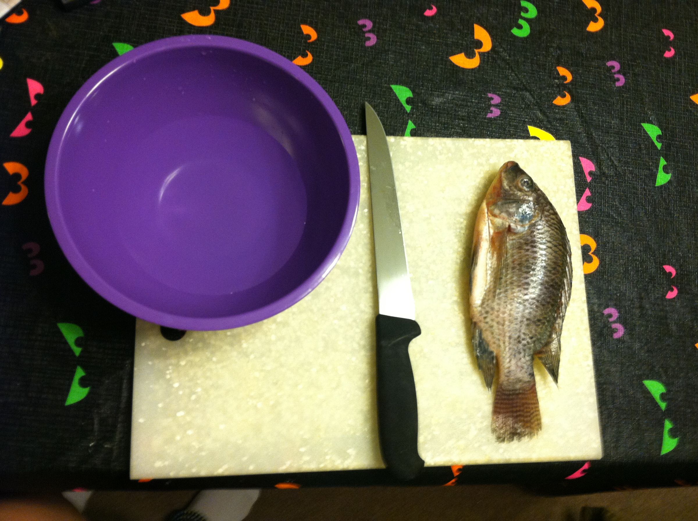 How to Clean a Fish : 6 Steps (with Pictures) - Instructables