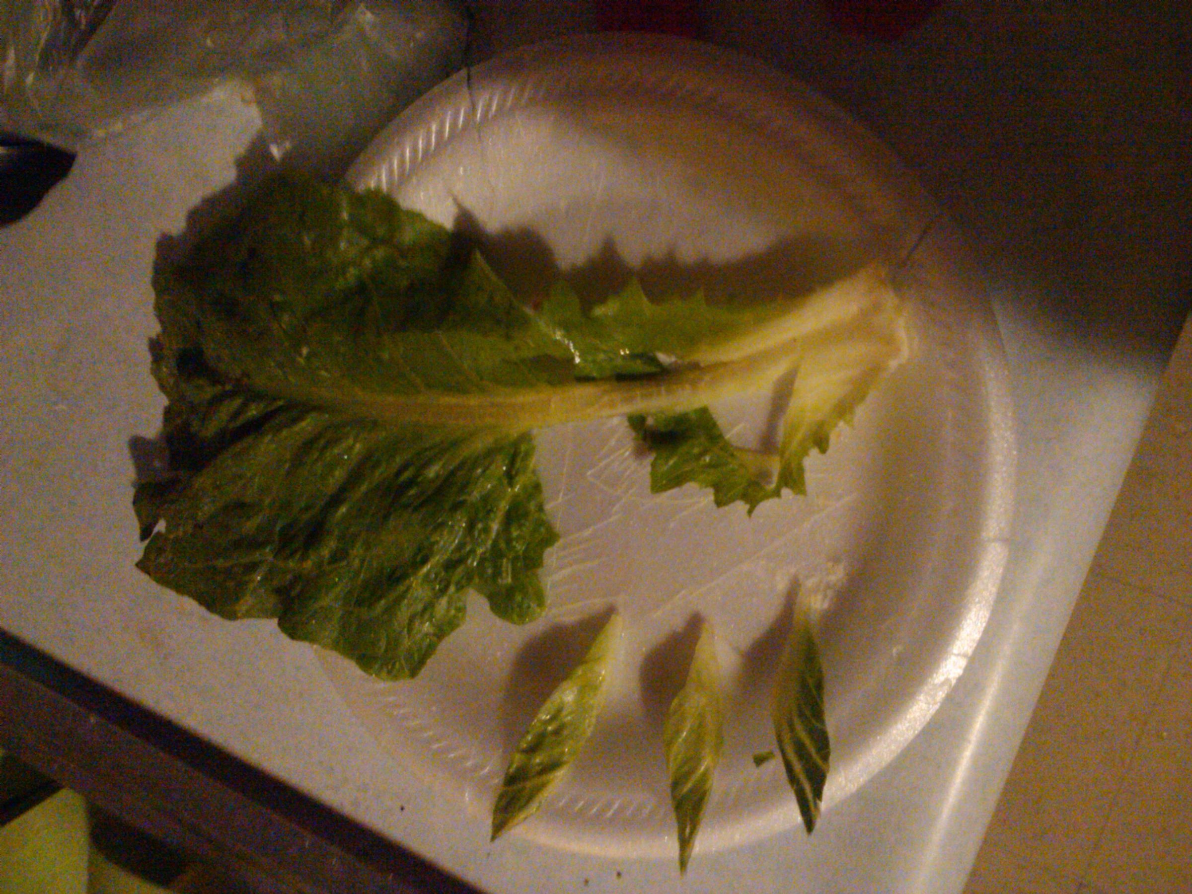 Deconstructed BLT - Instructables