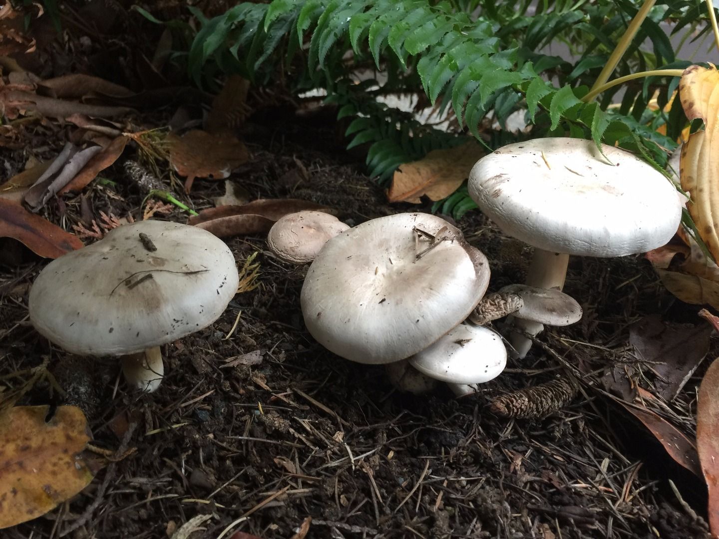 Nature Tracker: Parameter Mapping With the Intel Edison : 7 Steps (with Pictures) - Instructables