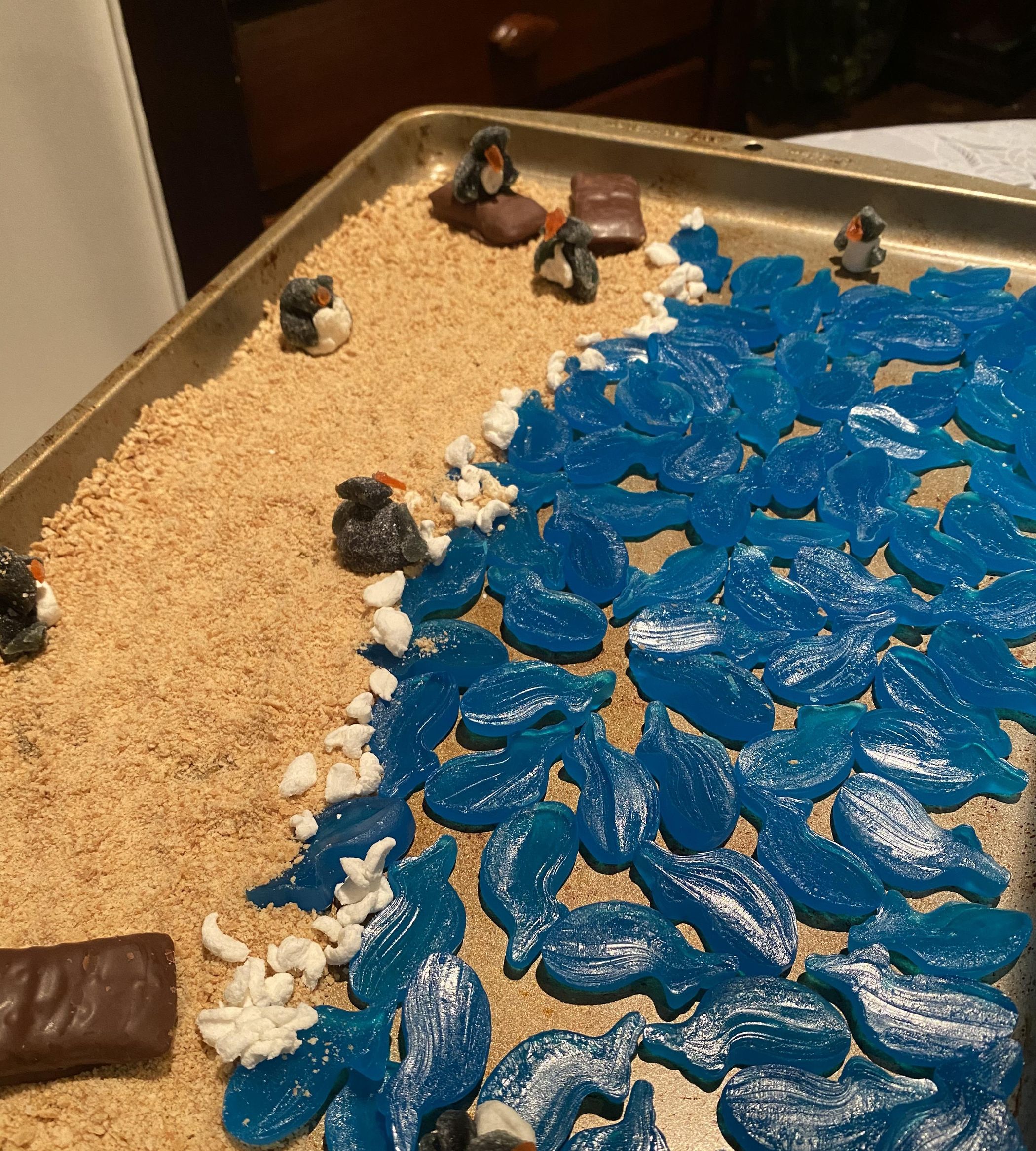 Boulders Beach Candy Ecosystem : 4 Steps - Instructables
