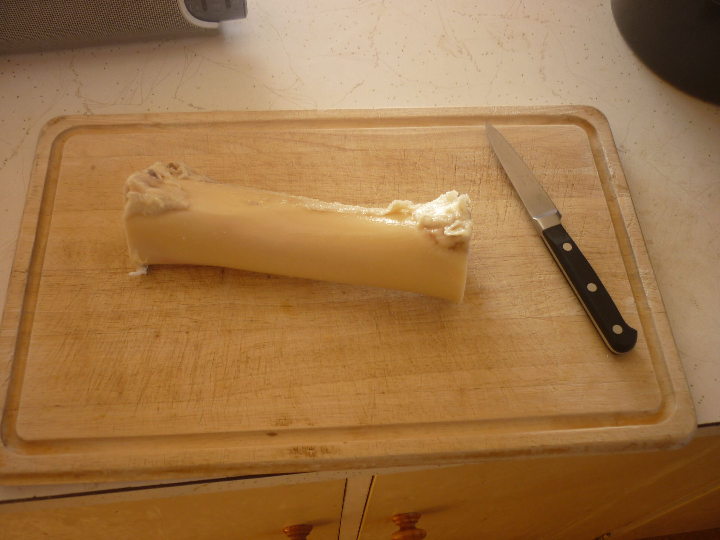 Prepare Bone for Carving : 8 Steps - Instructables