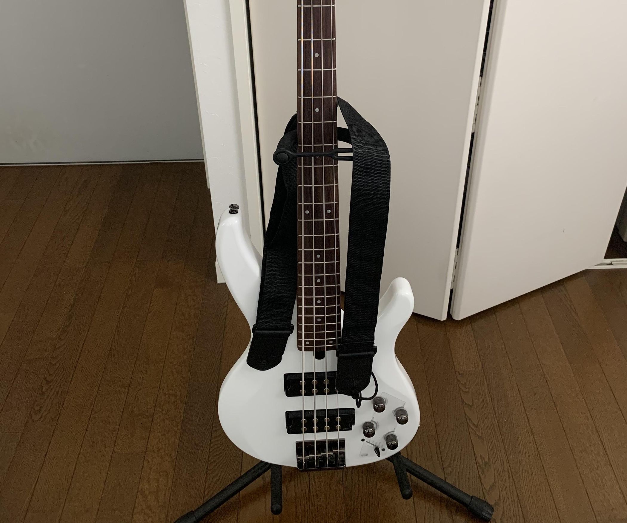 The Basics of the Bass Guitar : 9 Steps - Instructables