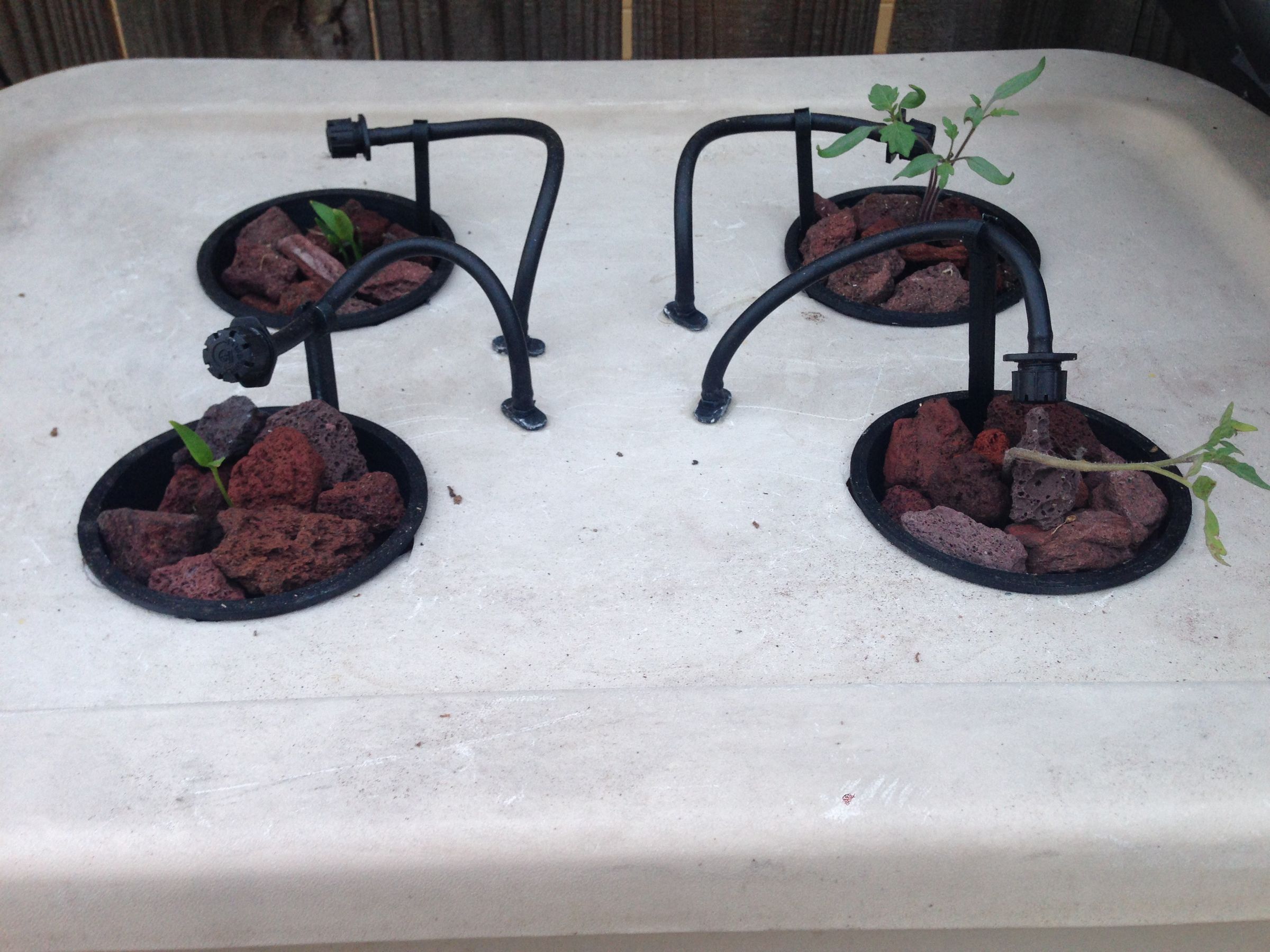 Small Scale Outdoor Solar Hydroponic System : 6 Steps (with Pictures ...