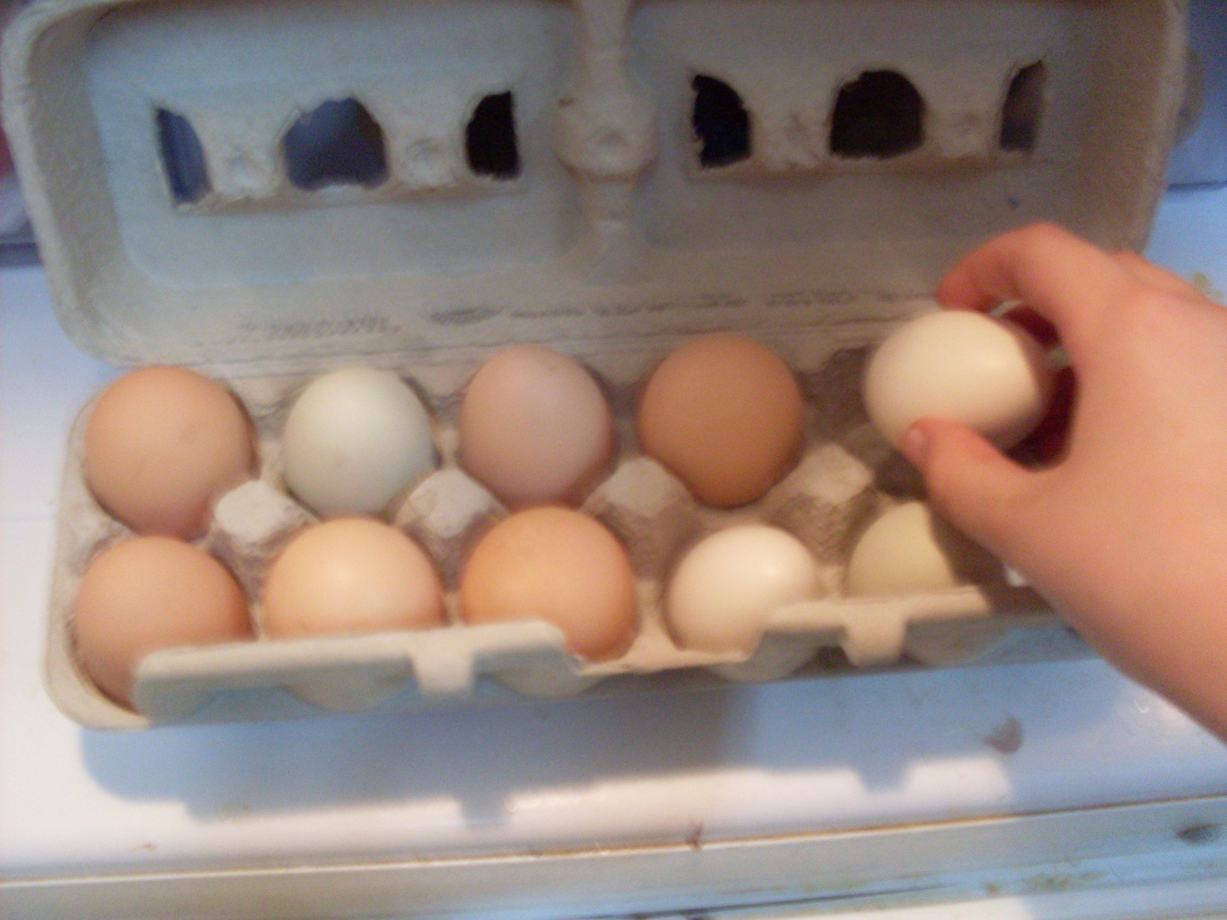 Extremely Annoying Rotten Egg Prank : 5 Steps - Instructables