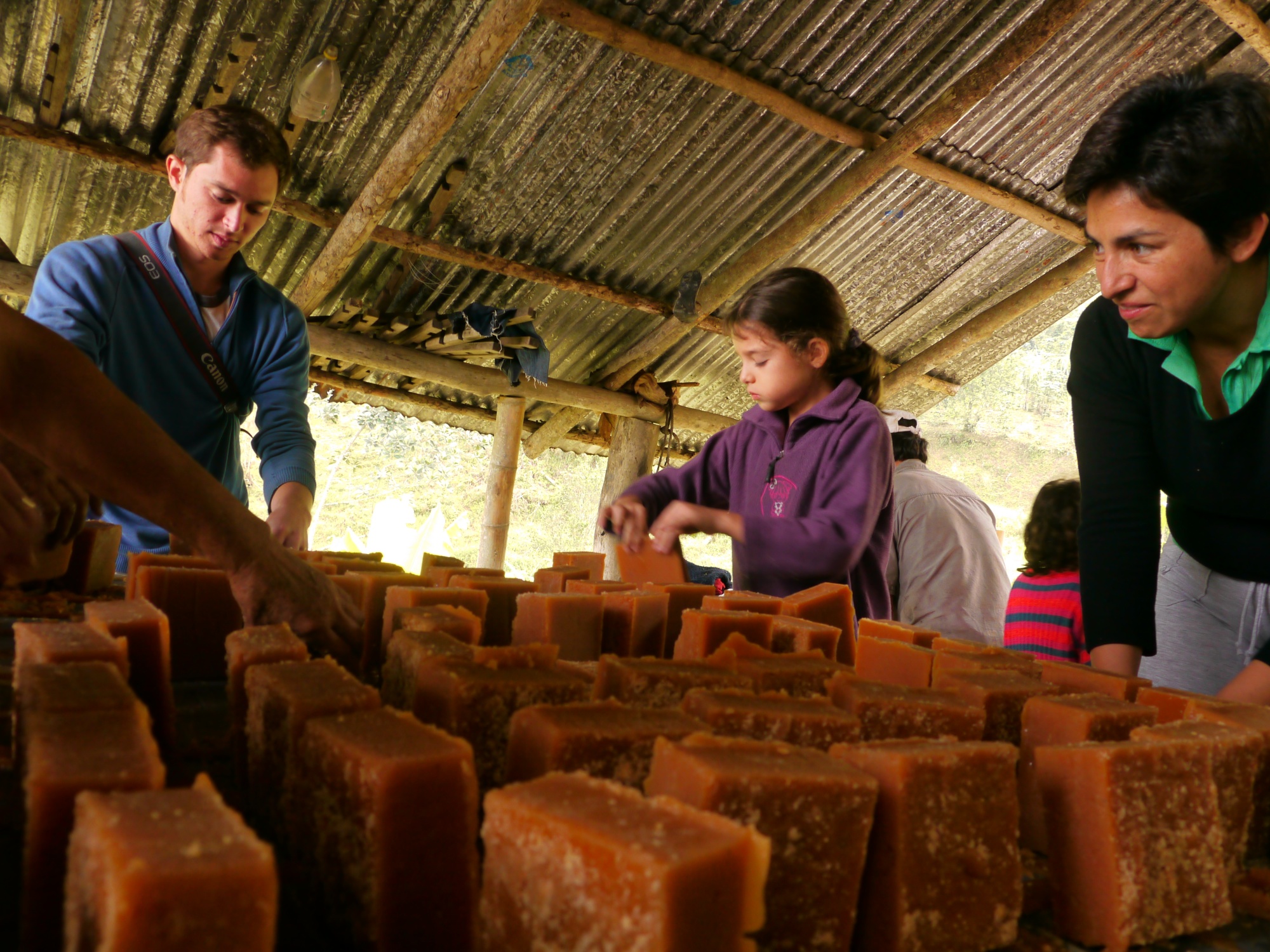 Making Panela (sugar Blocks) - Instructables