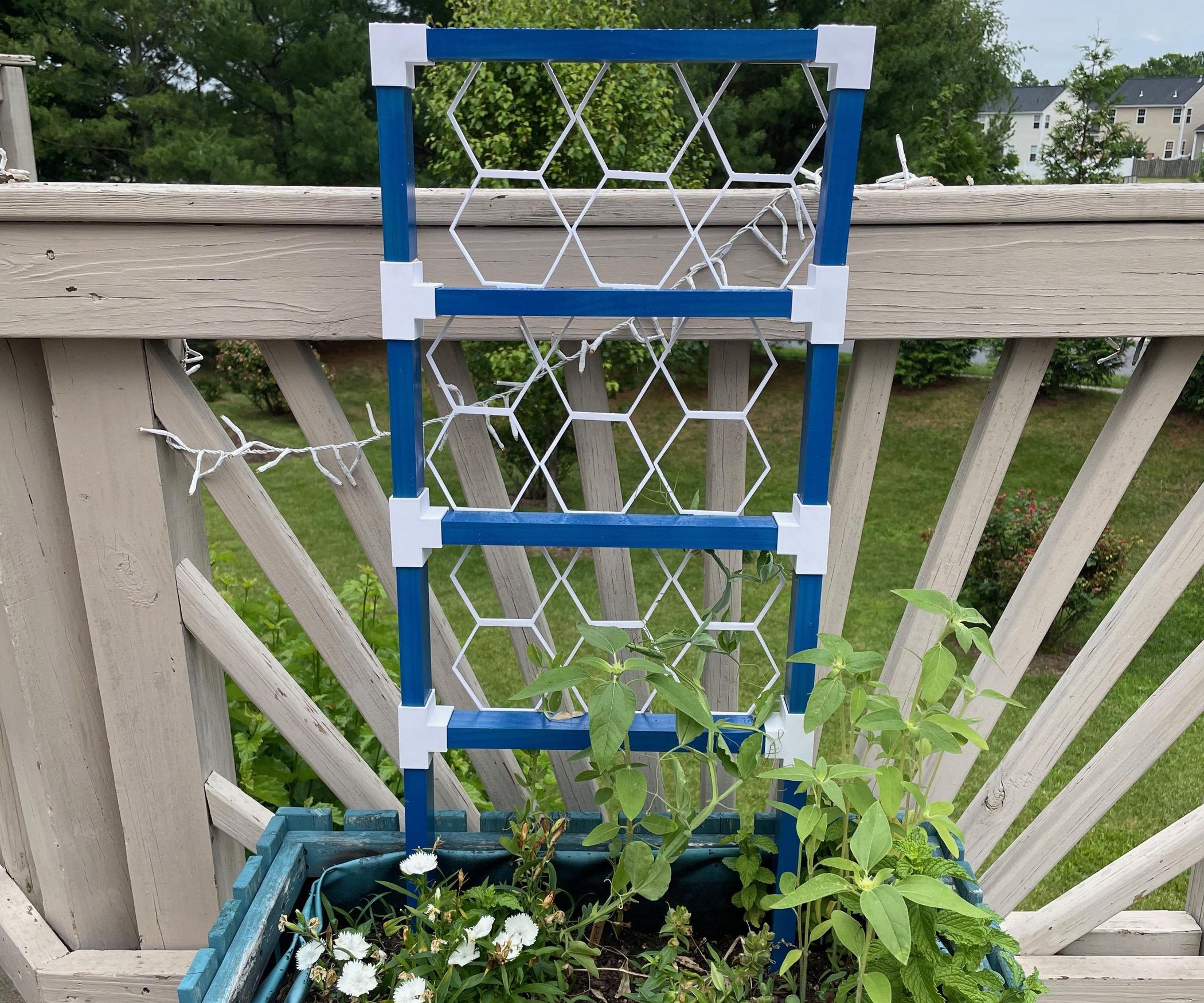 3D Growing Trellis : 9 Steps (with Pictures) - Instructables