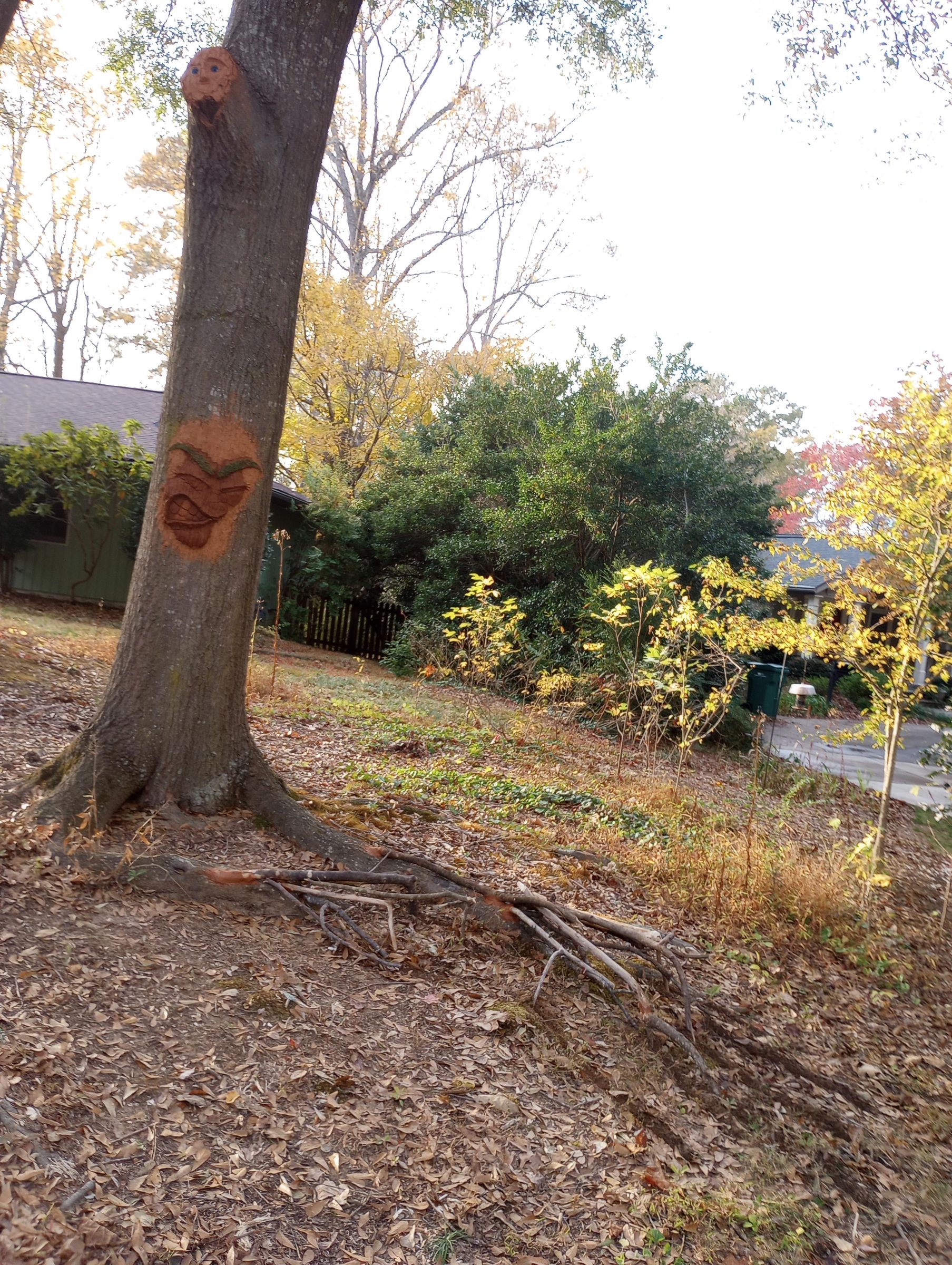 How to Make Faces on Your Trees in 4 Easy Steps : 4 Steps (with ...