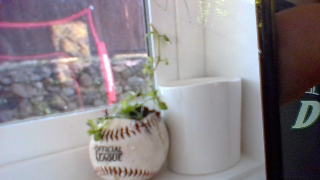 Baseball Plant Pot : 4 Steps - Instructables