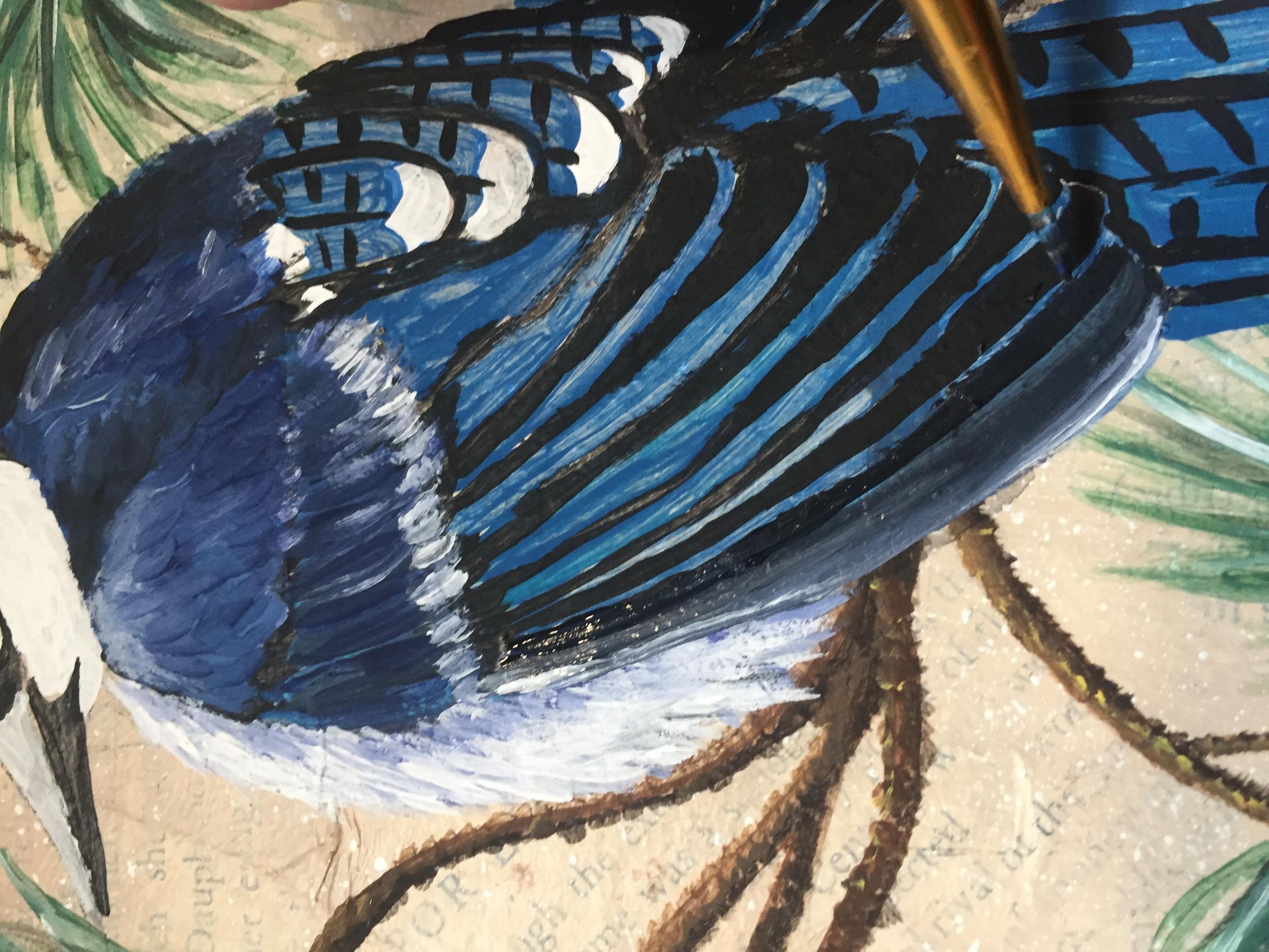 How to Paint a Blue Jay on a Branch. : 13 Steps (with Pictures ...