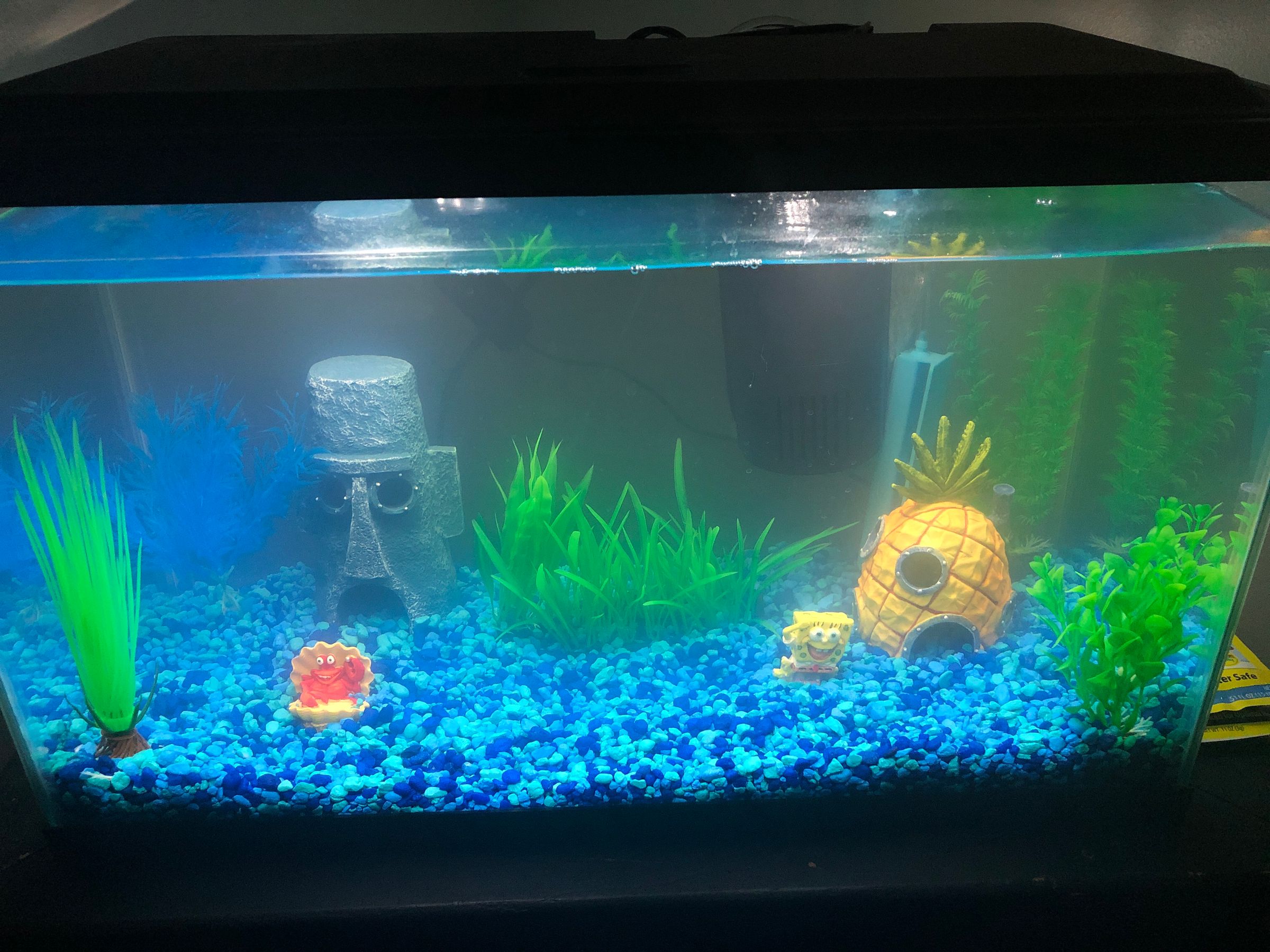Begginer Fish Tank : 10 Steps - Instructables