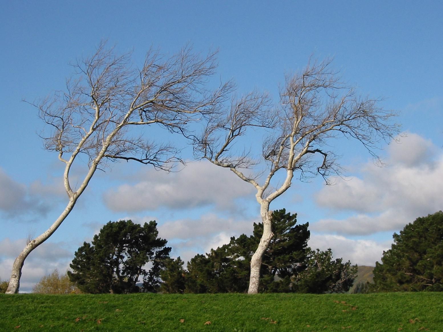 Photo Blending Modes : 10 Steps - Instructables