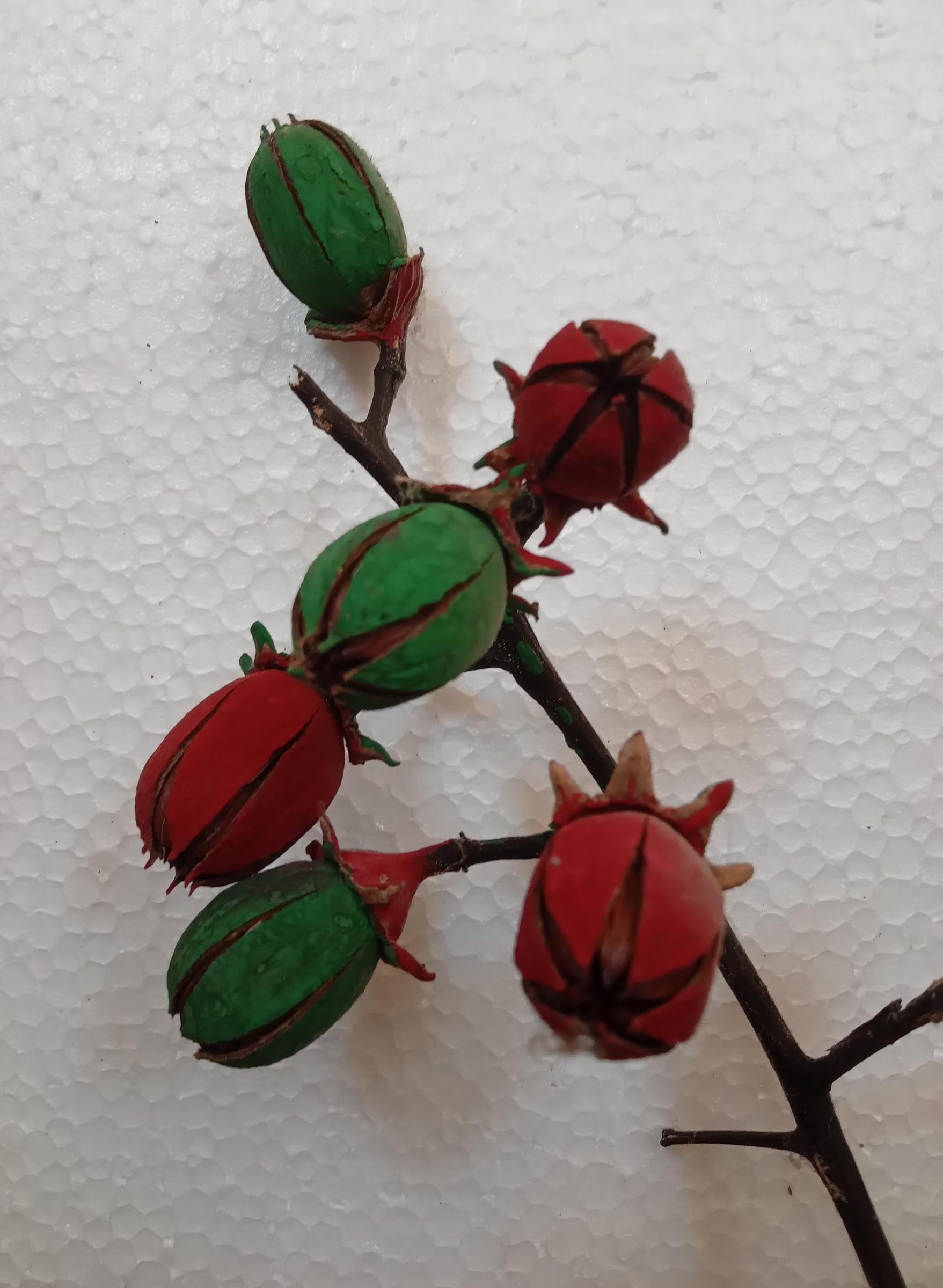 Flower Bouquet From Tamhan Fruits. : 6 Steps (with Pictures ...
