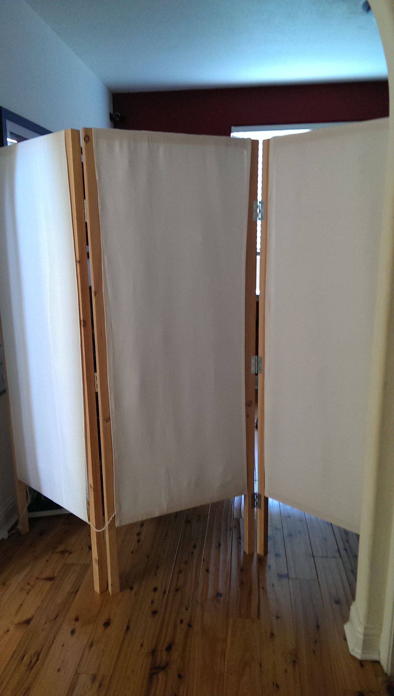 Lighted Room Divider/Privacy Screen : 7 Steps (with Pictures ...