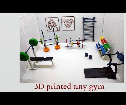 3d Printed Tiny Gym : 11 Steps - Instructables